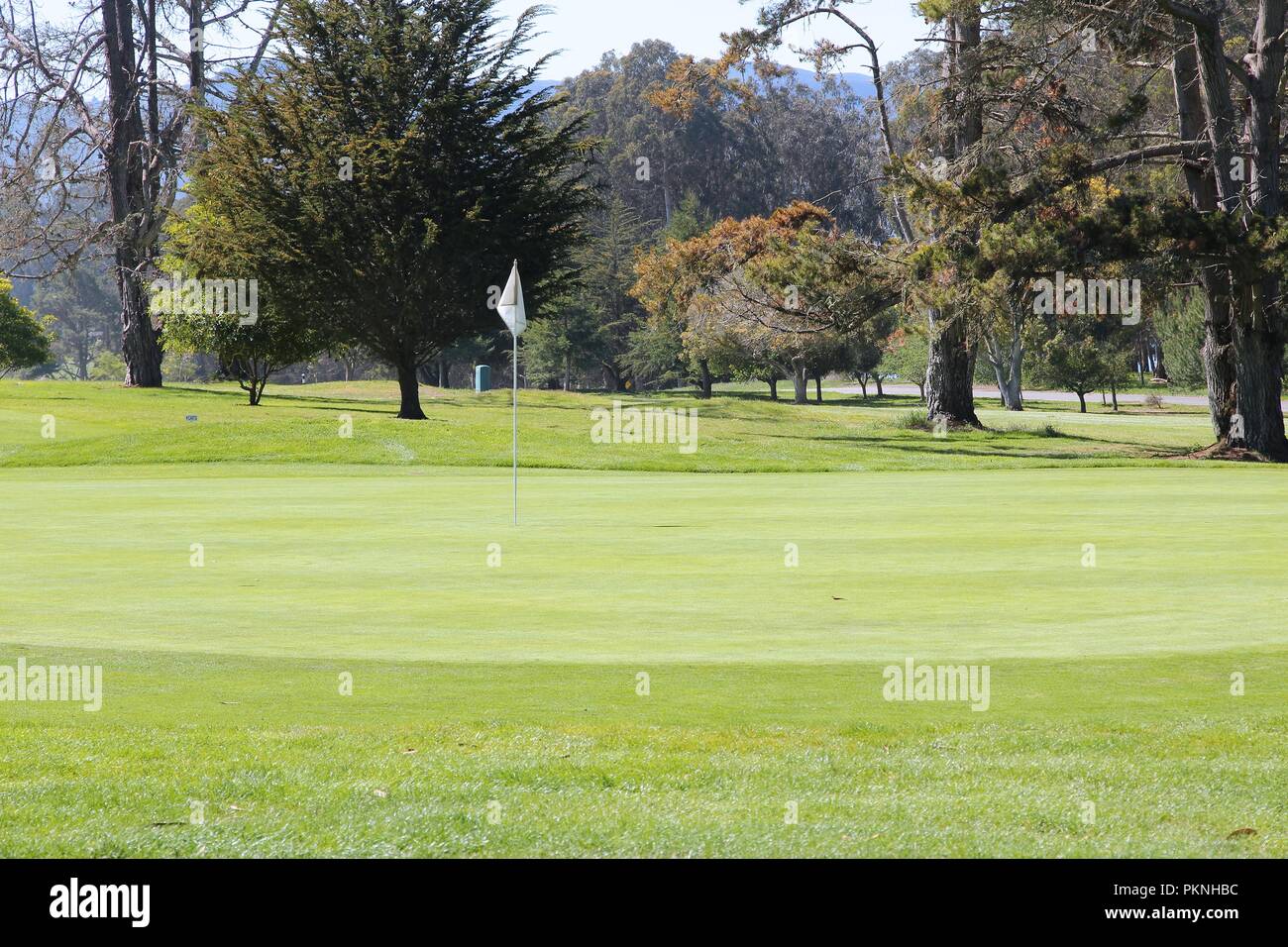 California, United States - generic golf course green Stock Photo - Alamy