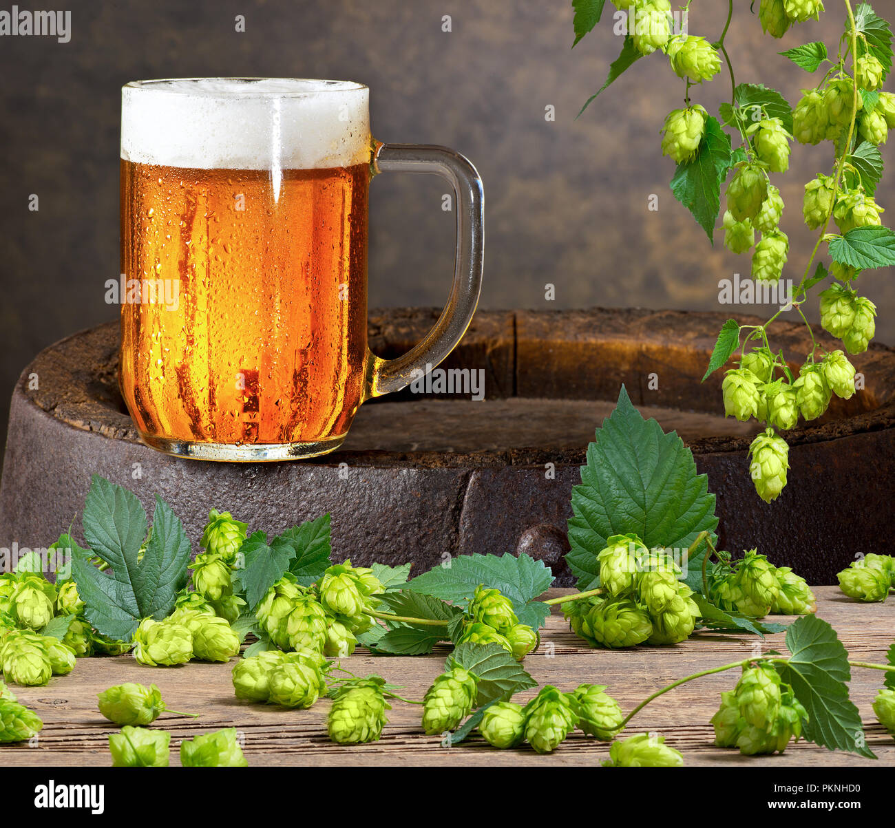 Barrel Cones High Resolution Stock Photography and Images - Alamy