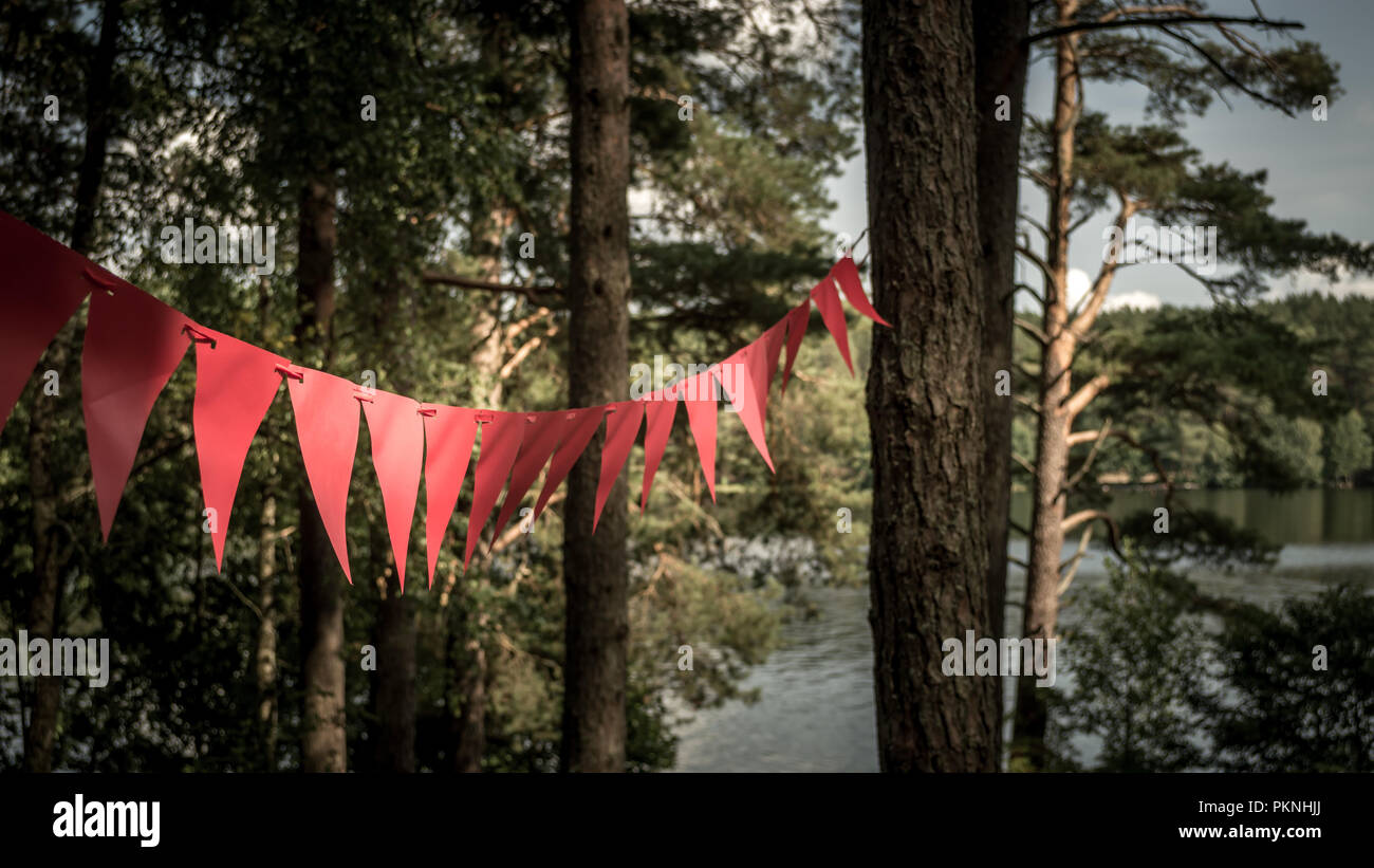 Party decorations between trees Stock Photo - Alamy
