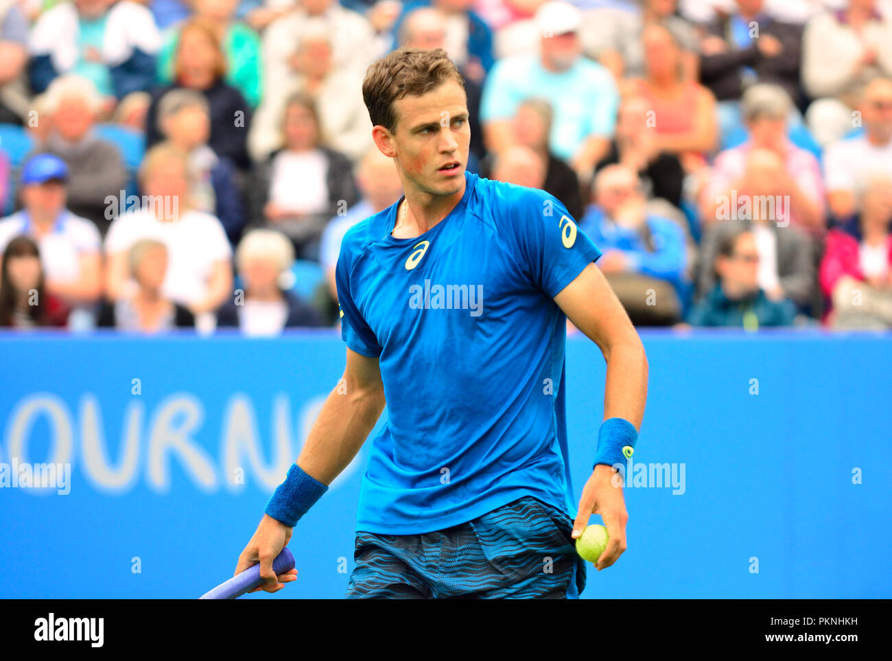 Vasek hi-res stock photography and images - Alamy