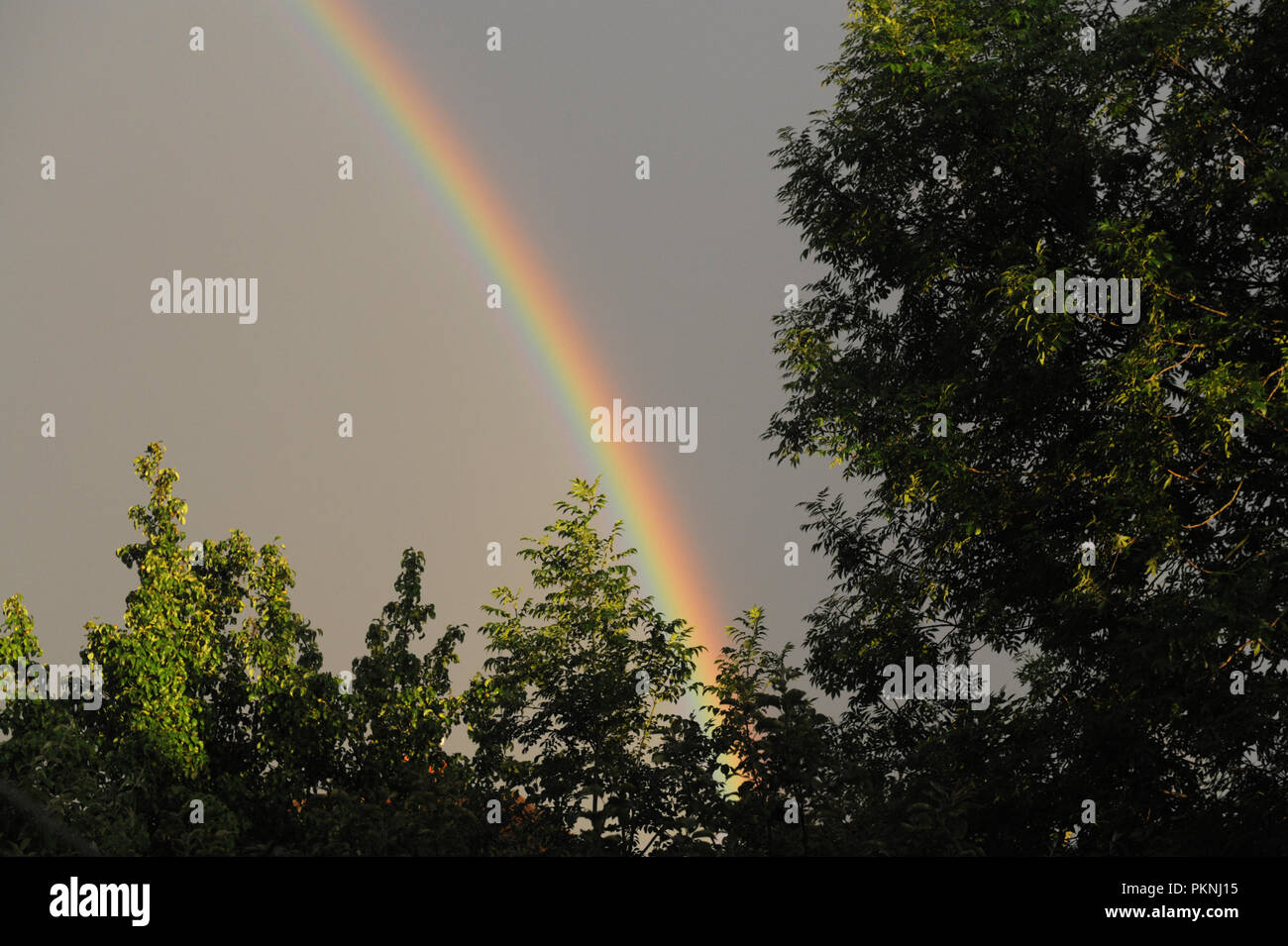 Rainbow over a garden in England Stock Photo - Alamy