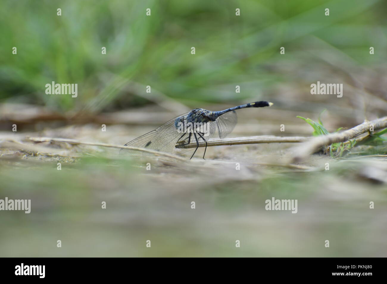 When they go low we go high hi-res stock photography and images - Alamy