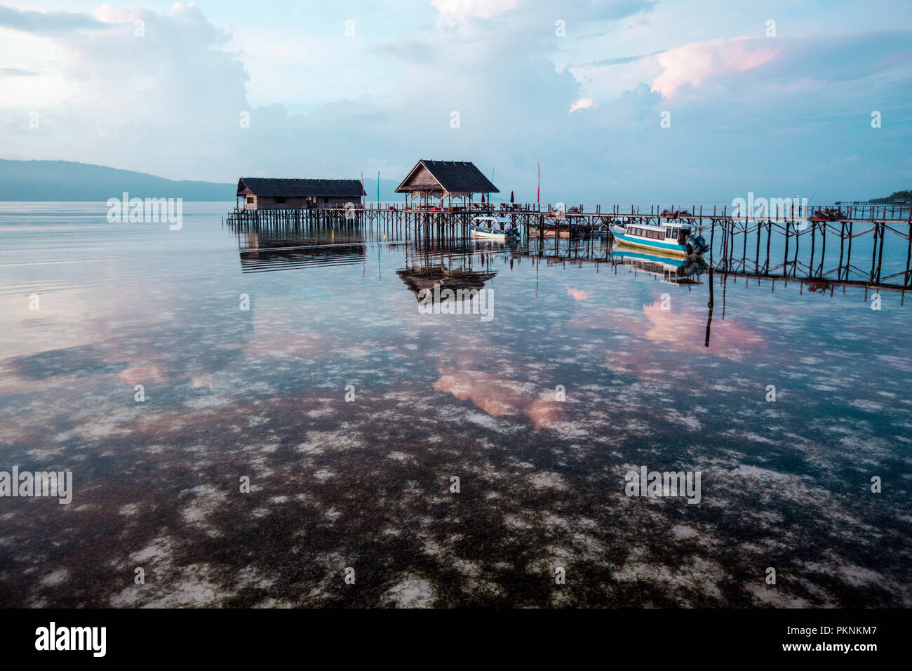 Jetty at morning, Raja Ampat, West Papua, Indonesia Stock Photo - Alamy