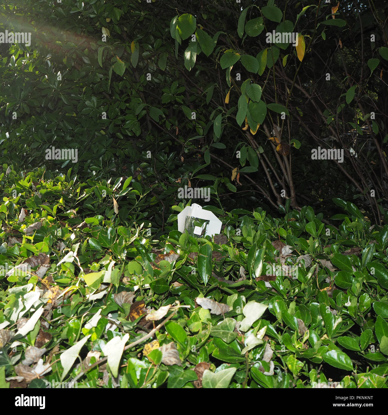Litter & rubbish left on the street Stock Photo - Alamy