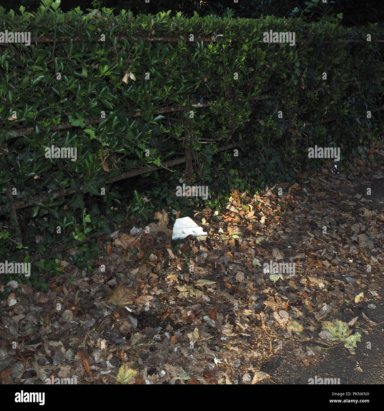 Litter & rubbish left on the street Stock Photo - Alamy