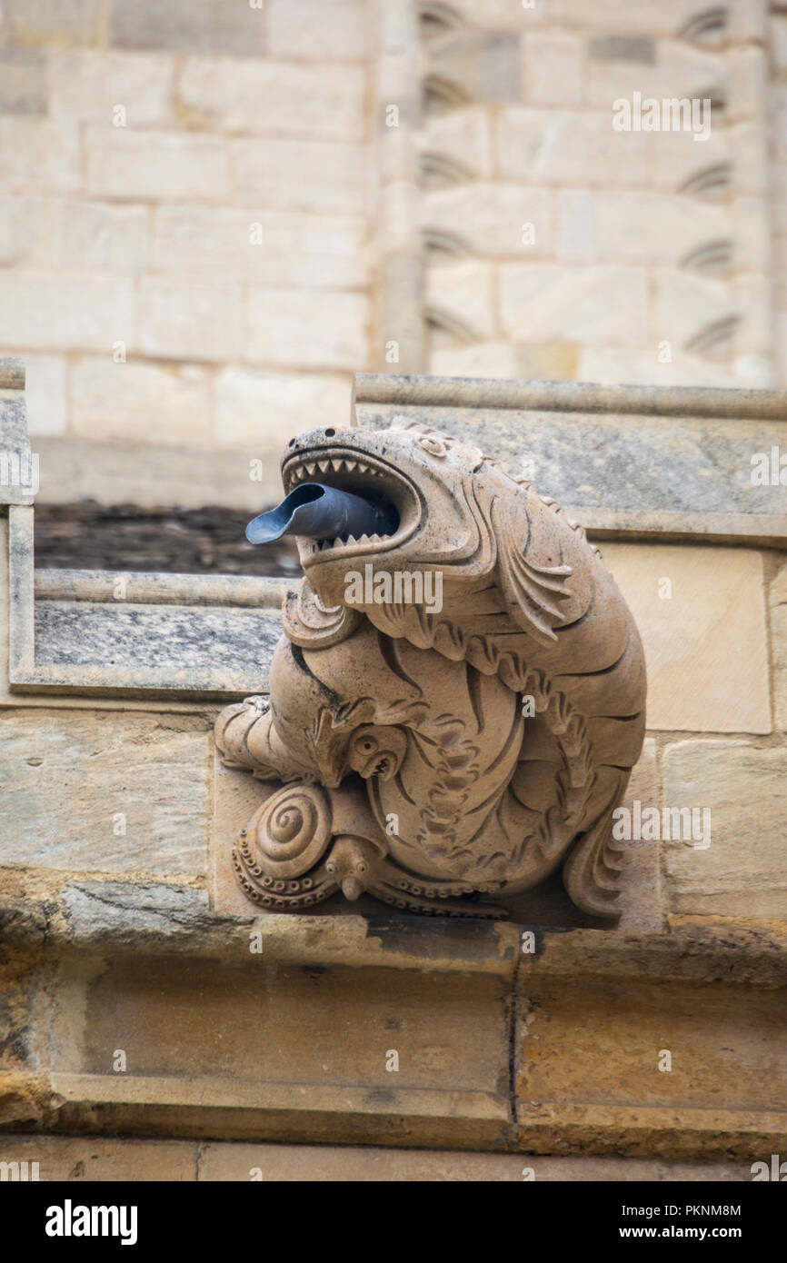 Fish gargoyle hi-res stock photography and images - Alamy