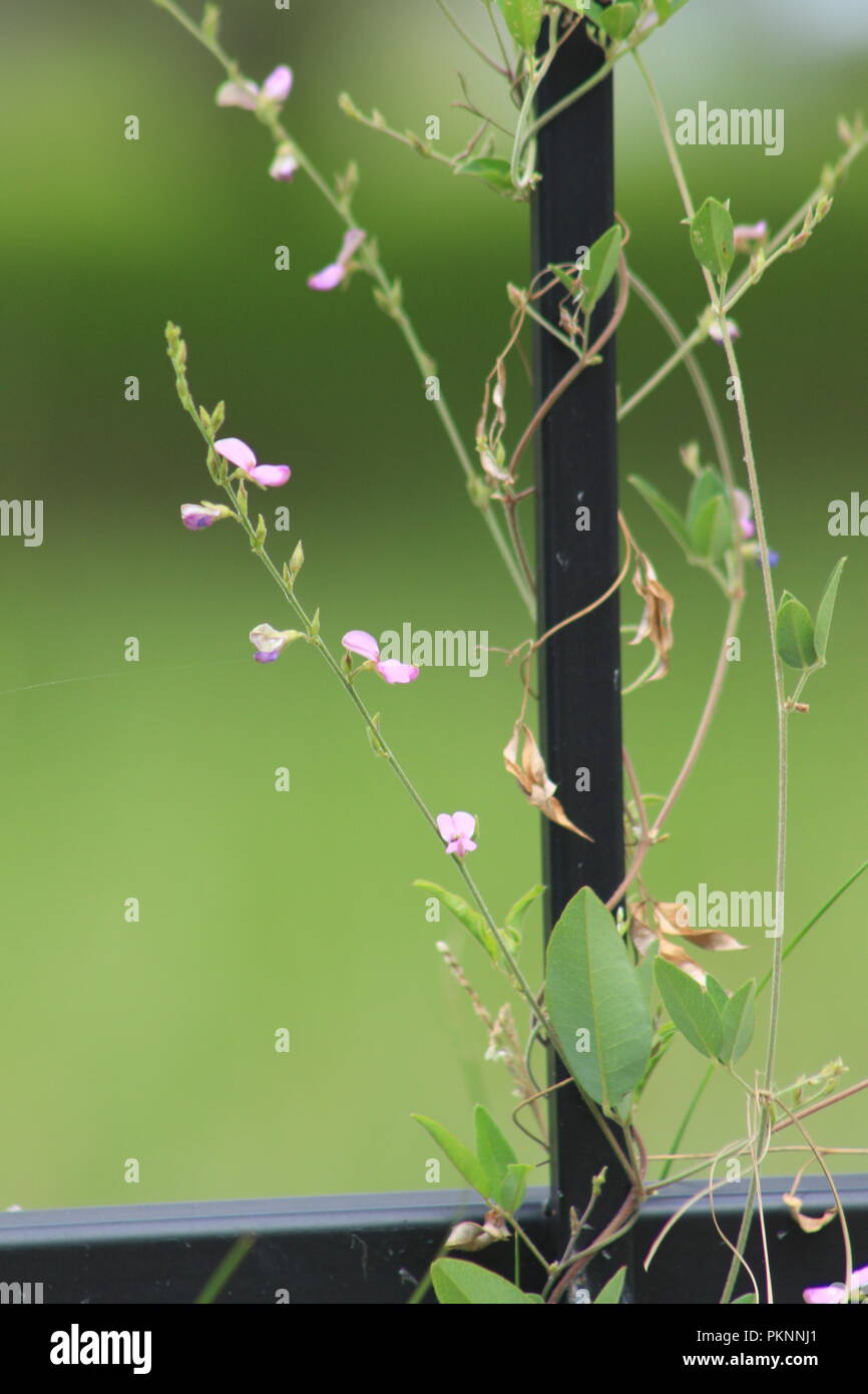 Earth landscaping hi-res stock photography and images - Alamy