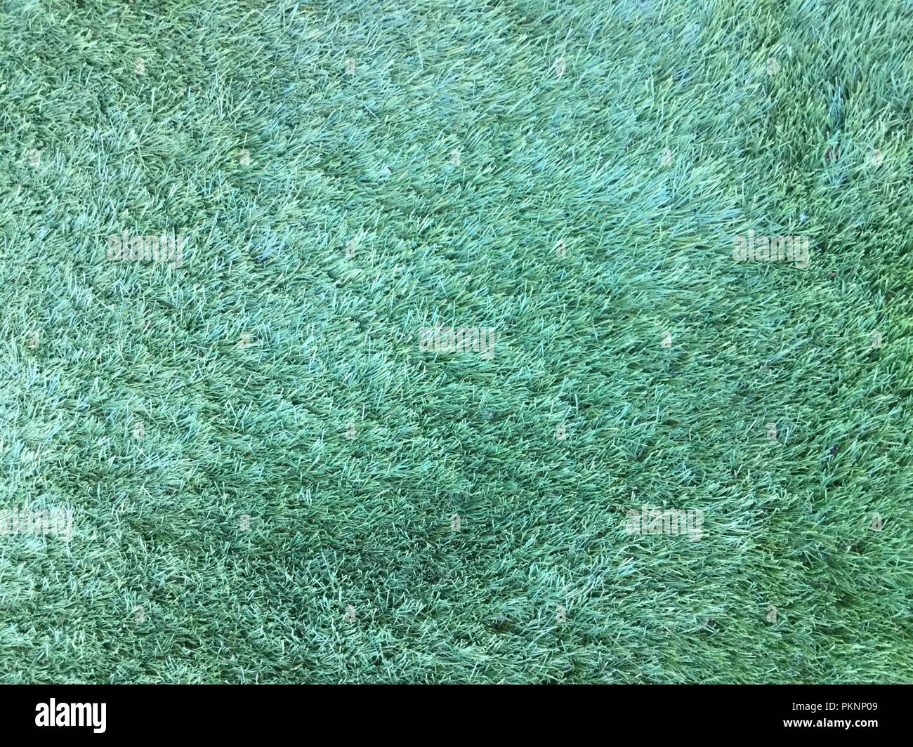 Soft textures hi-res stock photography and images - Alamy