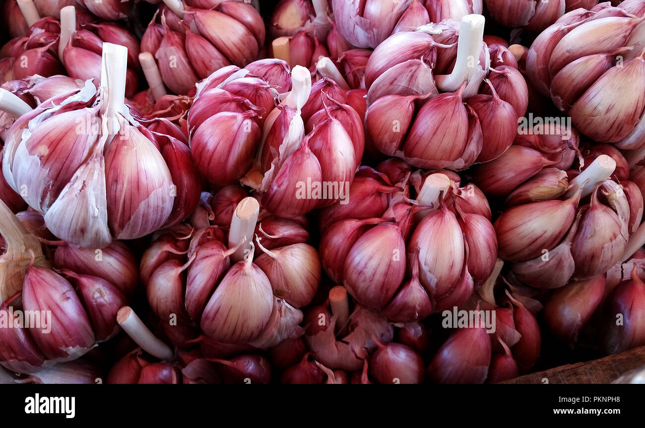 Heads of garlic at the fair Stock Photo - Alamy