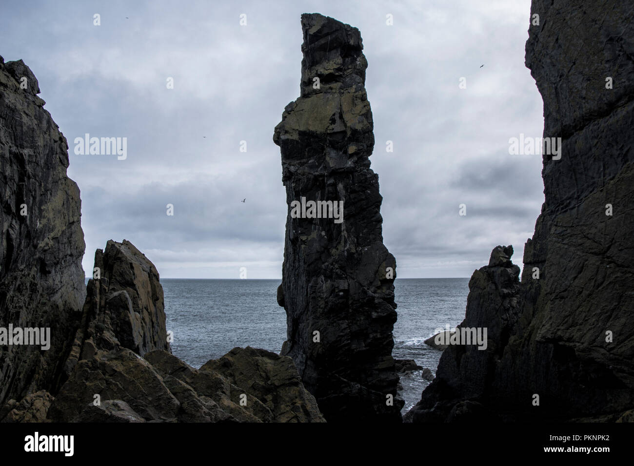 The Souter Sea Stack Cliff Sea Scotland Stock Photo - Alamy