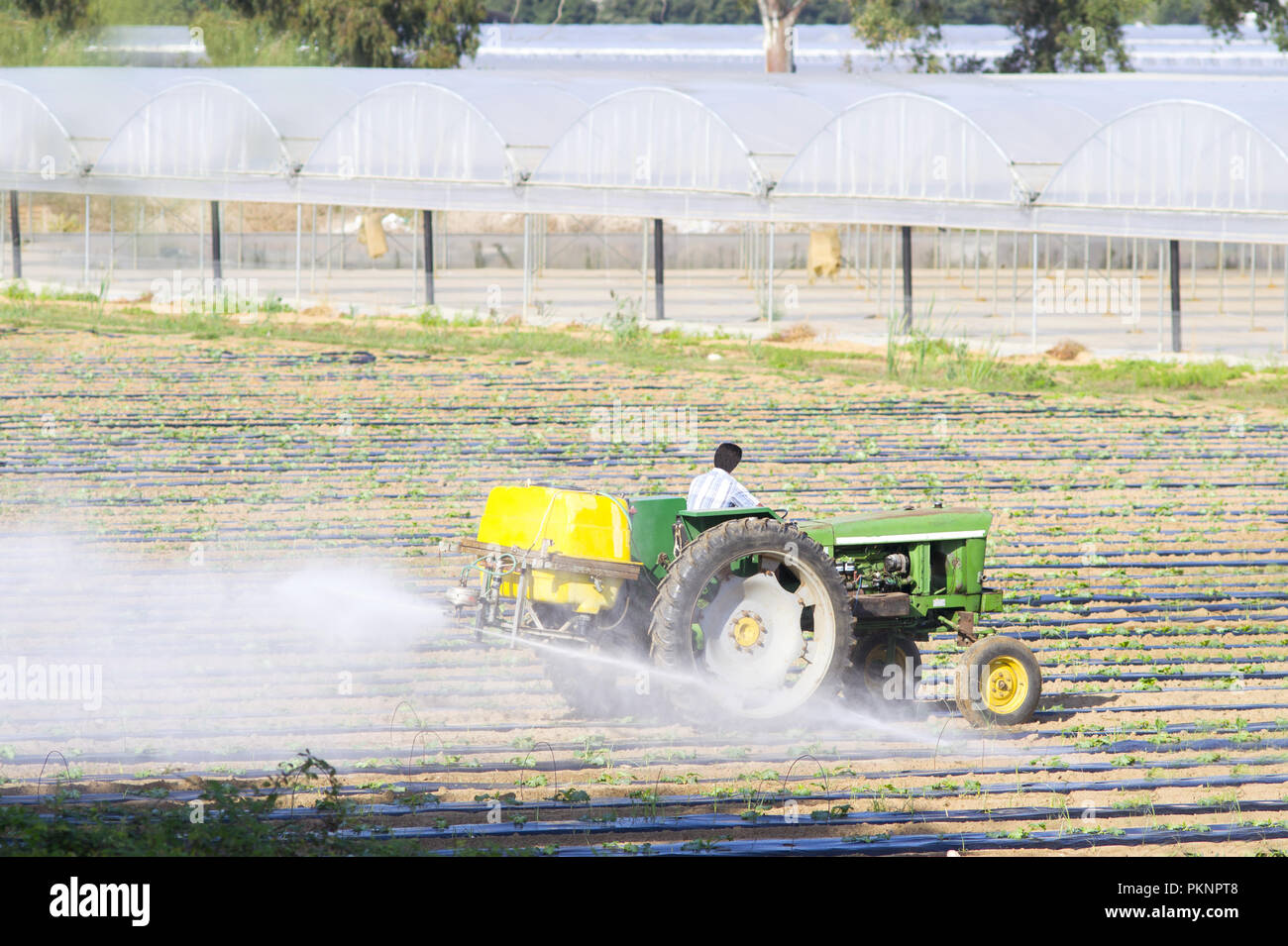 Spraying a fungicide hi-res stock photography and images - Alamy