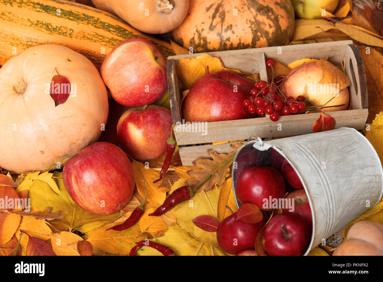 autumn harvest - fruits and vegetables are on fallen yellow leaves ...