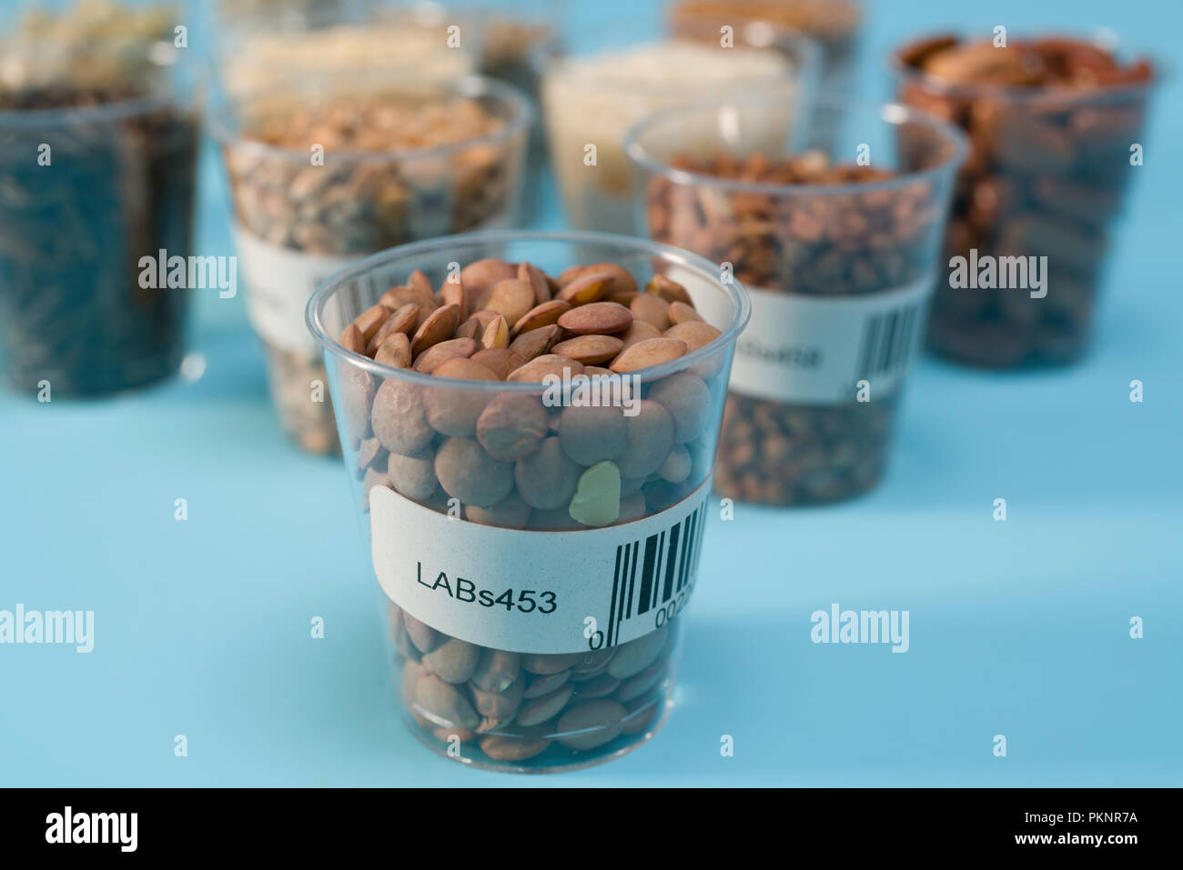 Agriculture research, conceptual image Stock Photo - Alamy