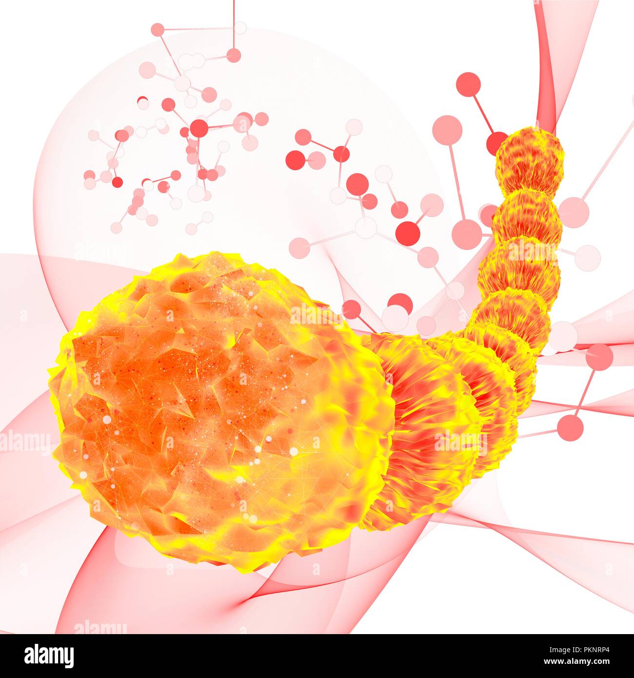 Archaea bacteria hi-res stock photography and images - Alamy