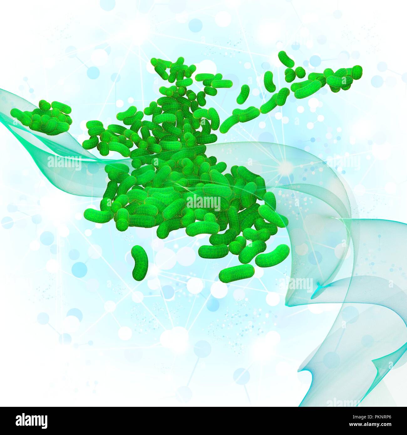 Green bacteria hi-res stock photography and images - Alamy