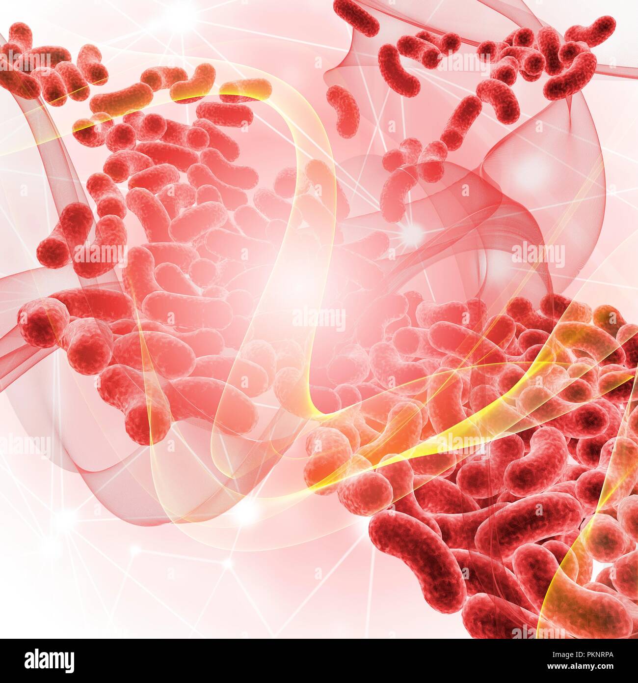 Red bacteria, illustration Stock Photo - Alamy