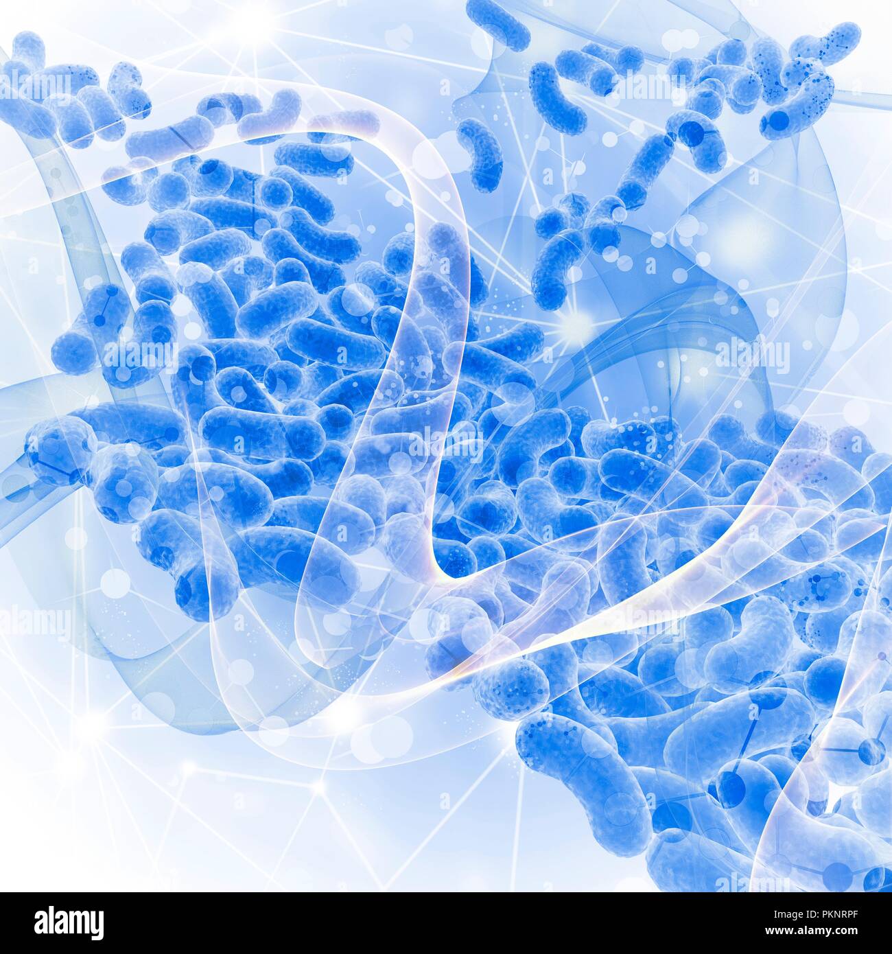 Blue bacteria, illustration Stock Photo - Alamy