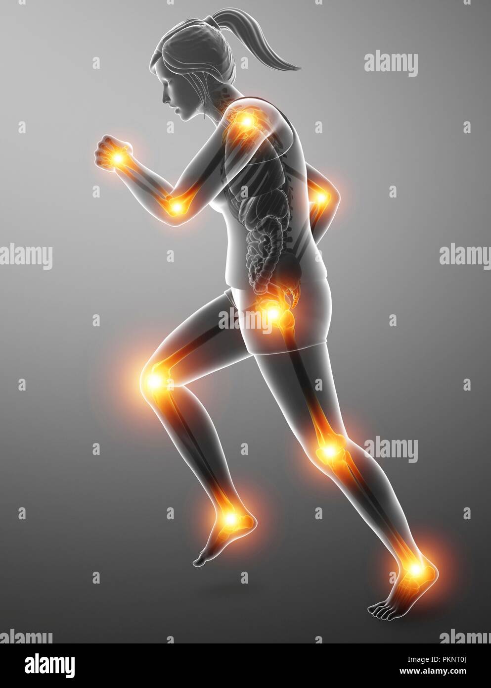 Woman with joint pain, computer illustration Stock Photo - Alamy