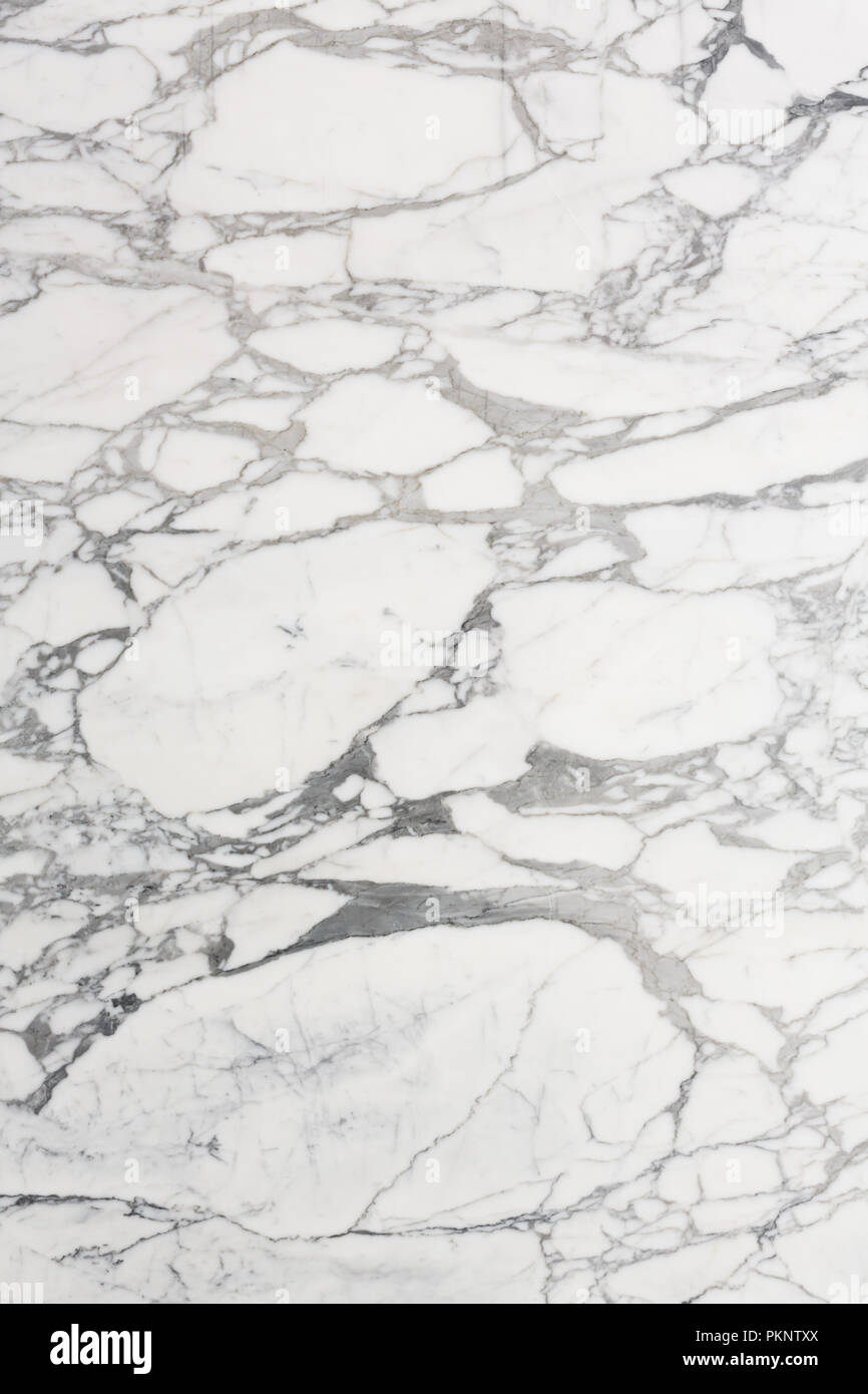 Marble Texture White Marble Architextures