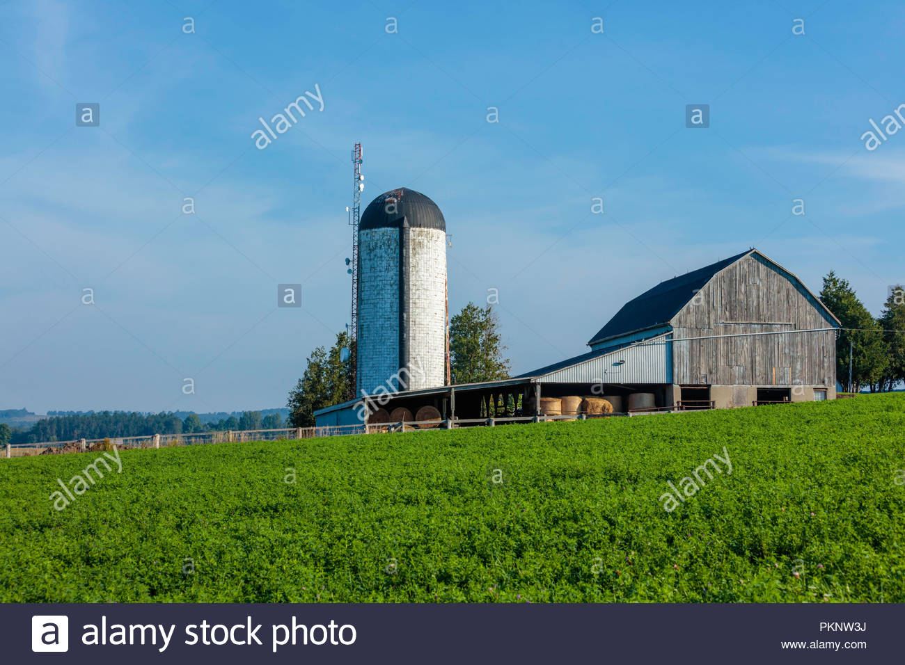 Silo And Barn High Resolution Stock Photography and Images - Alamy