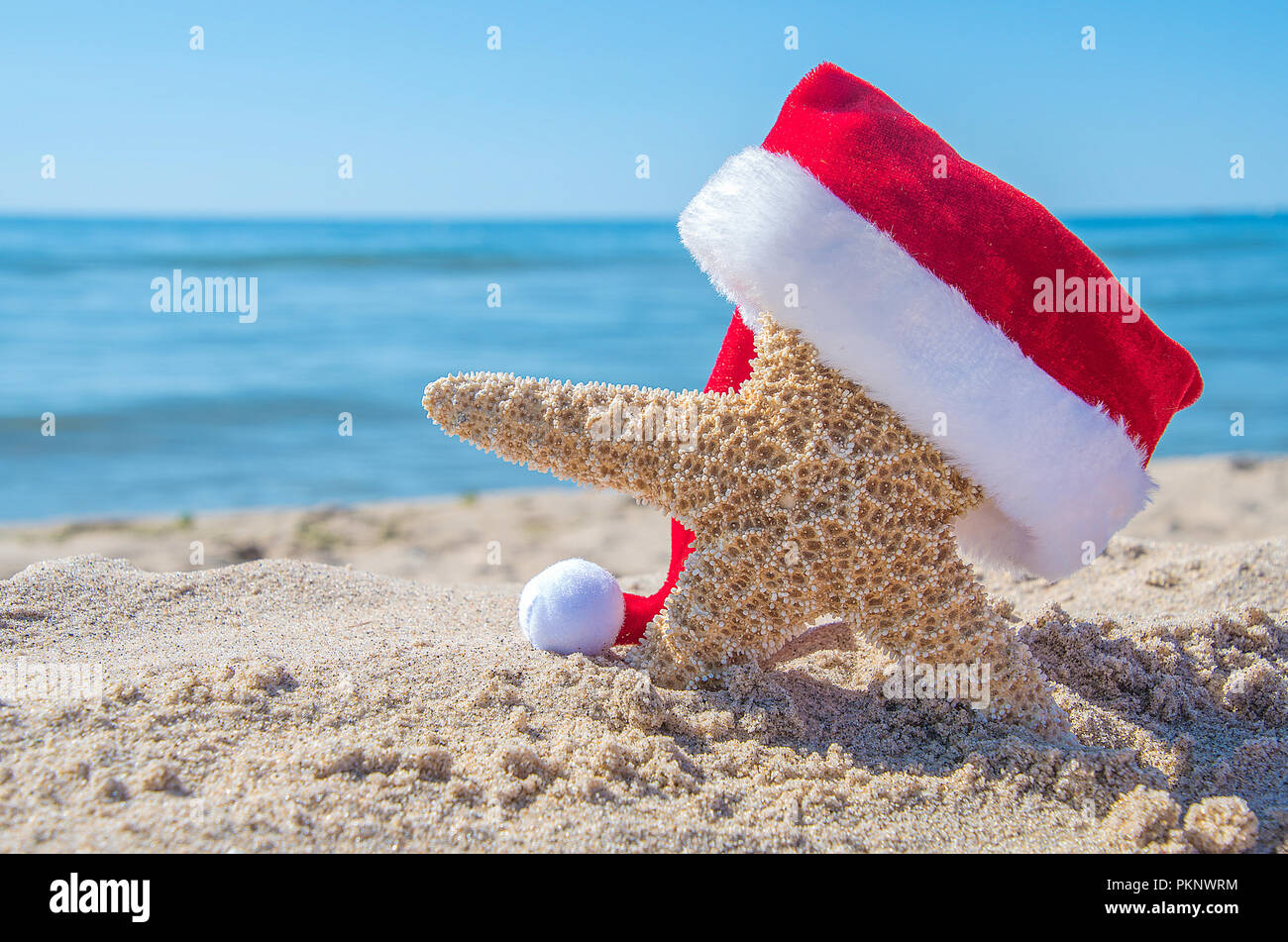 Christmas hat on starfish in beach sand with ocean water background ...