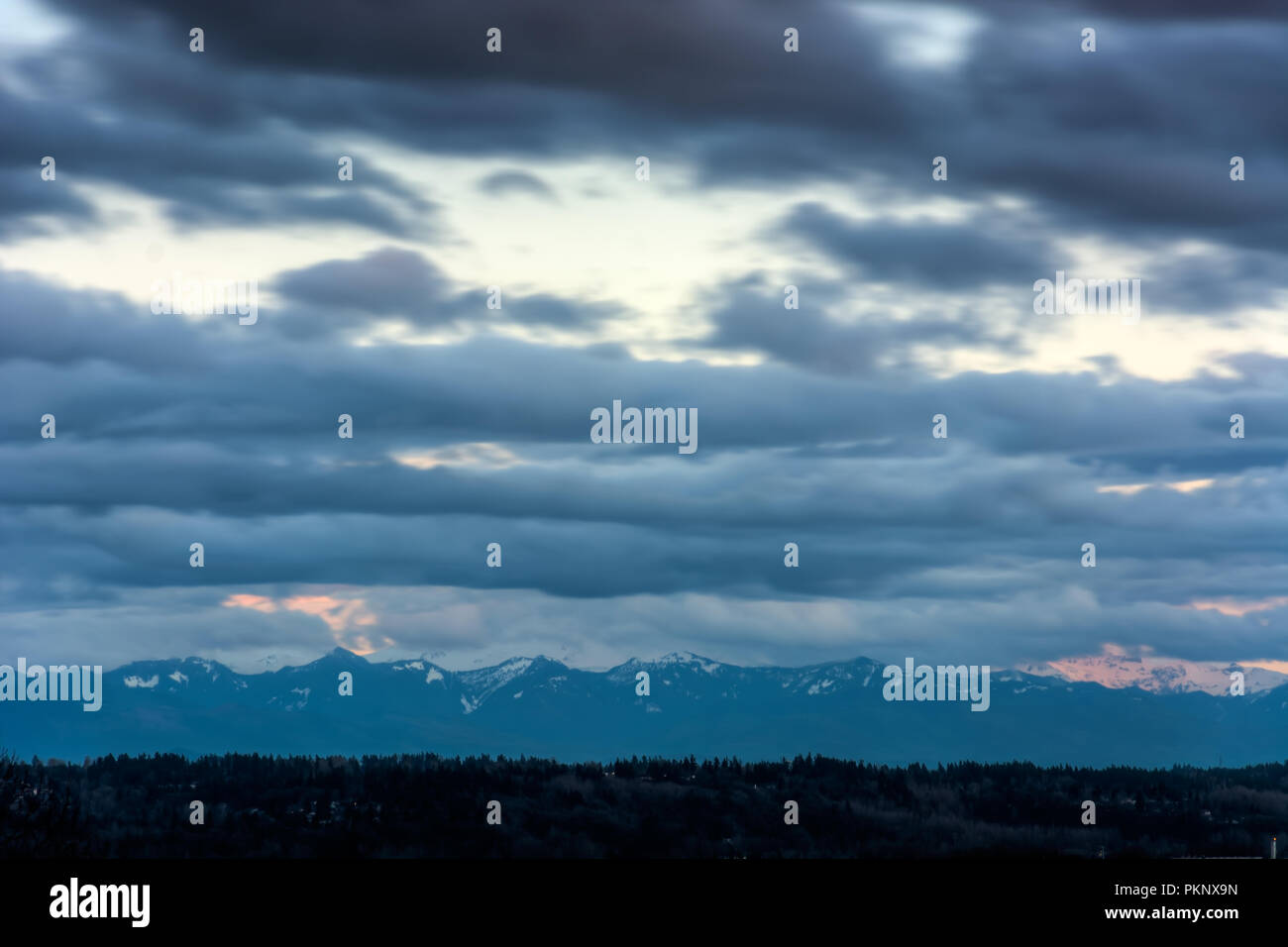 View of Mount Rainier volcano in the State of Washington, USA, Pacific ...
