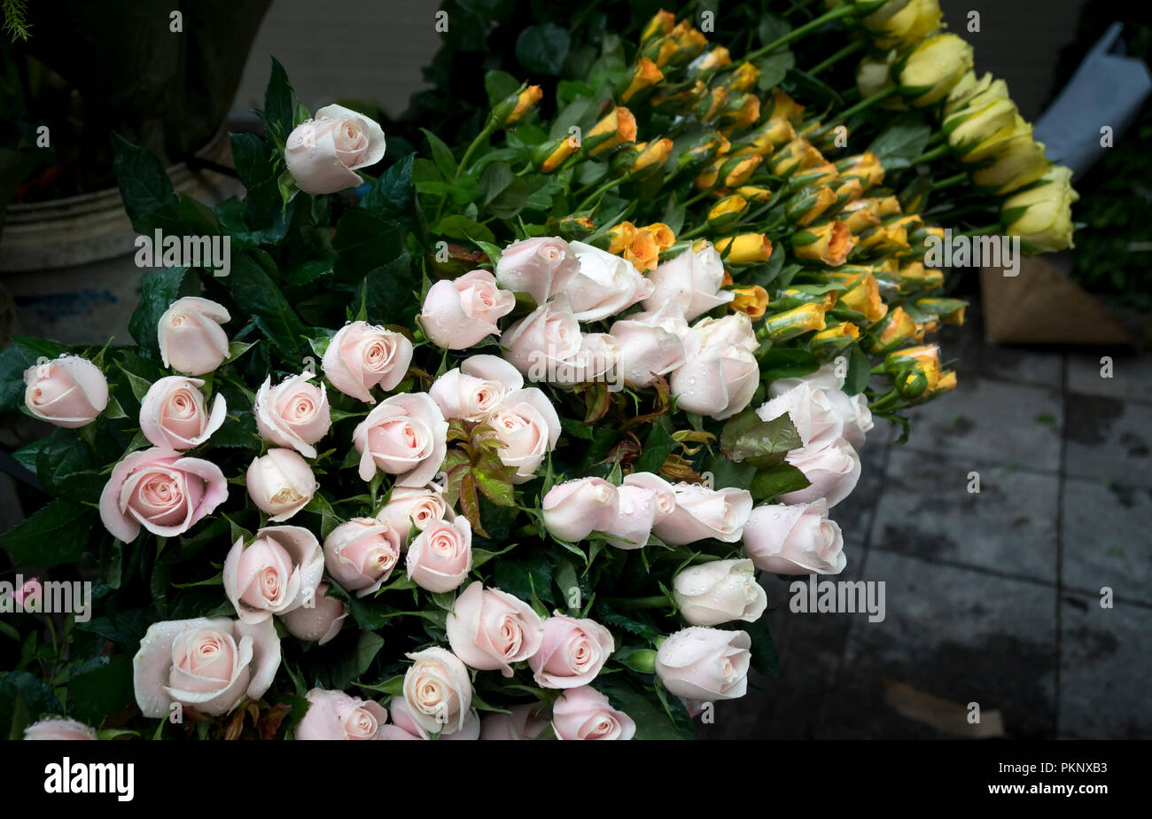 Fresh roses are sold at the market Stock Photo - Alamy