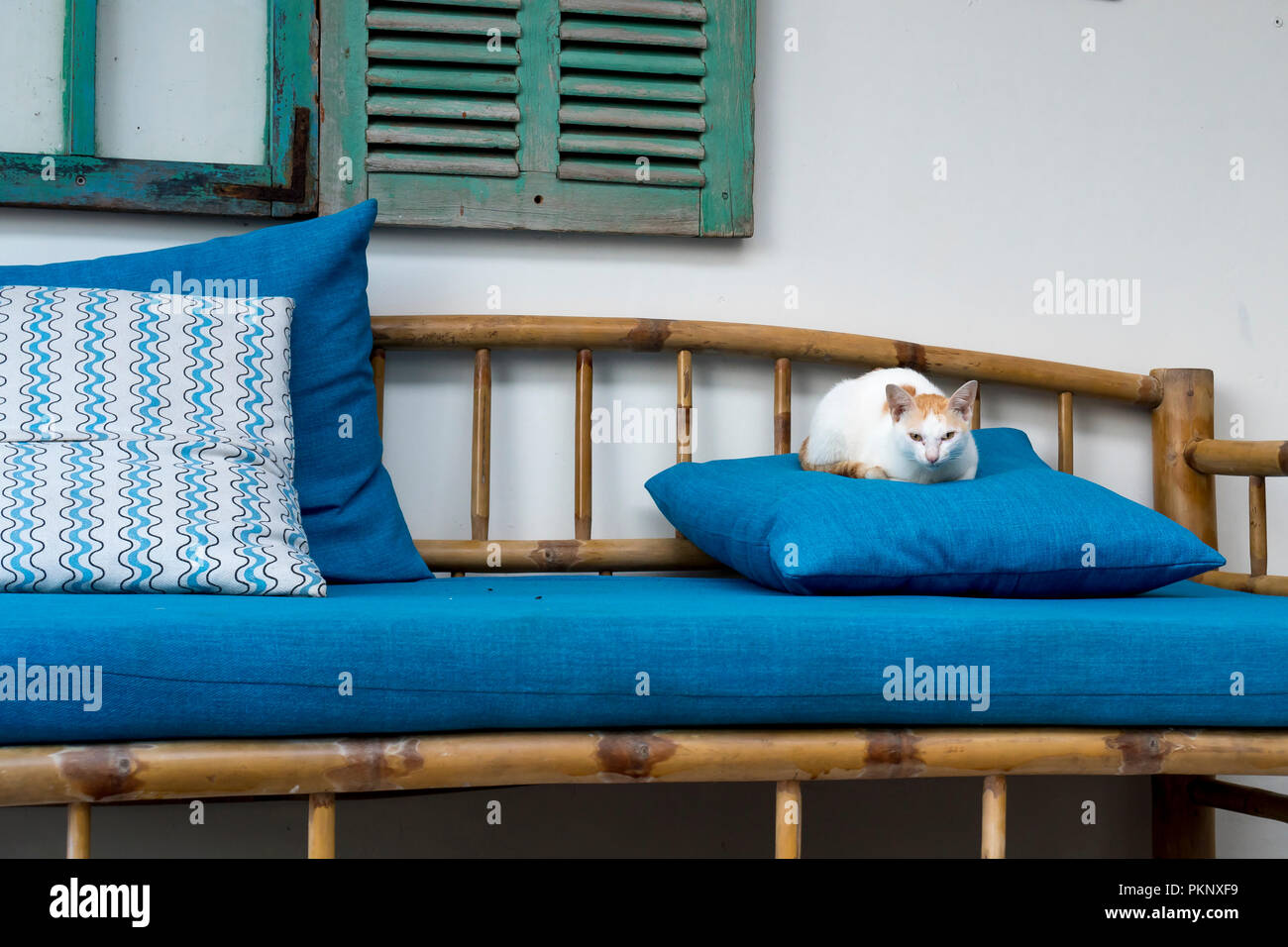 The cat has sad eyes lying on the pillow of bamboo sofa Stock Photo - Alamy