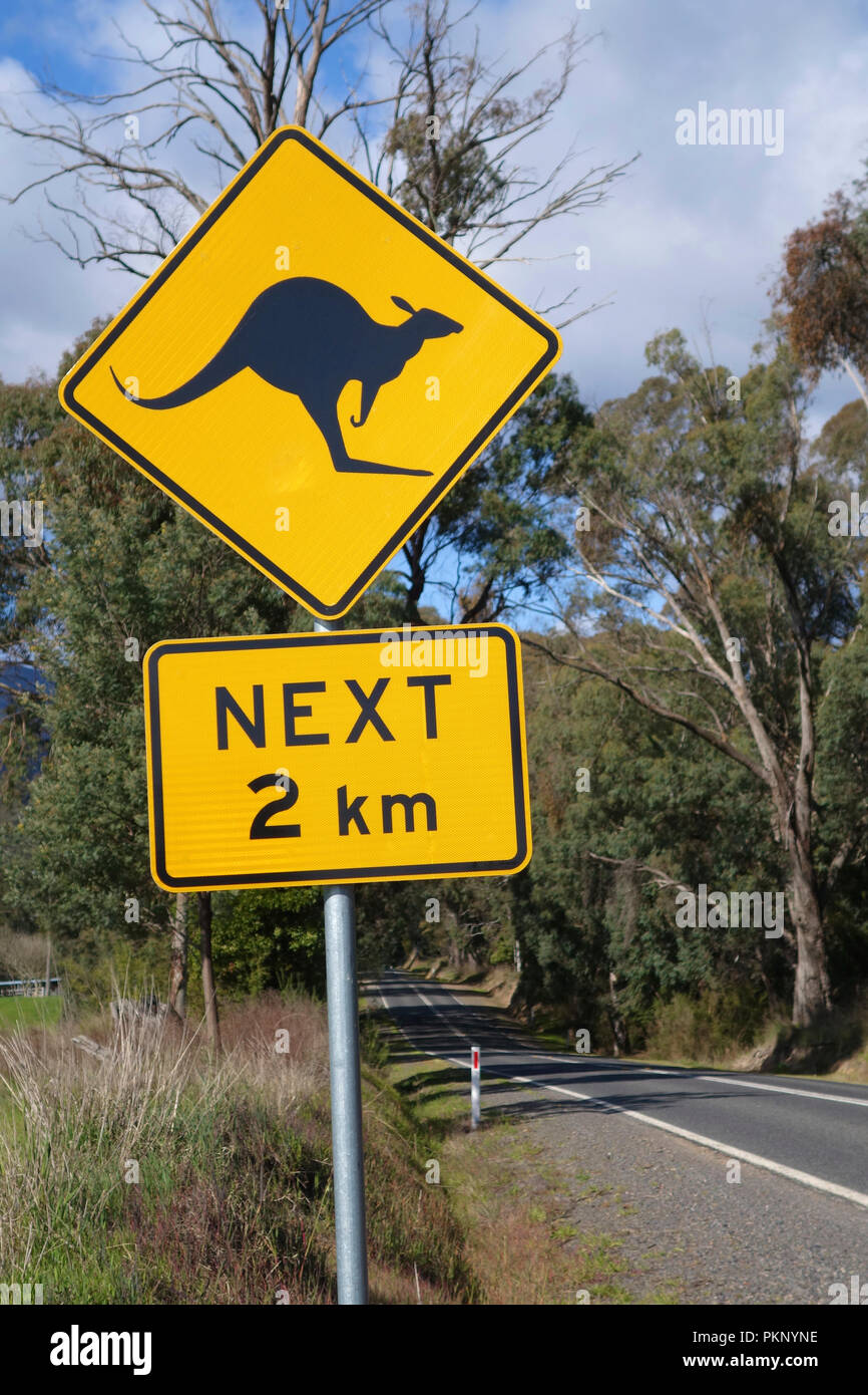 Australian kangaroo signpost hi-res stock photography and images - Alamy