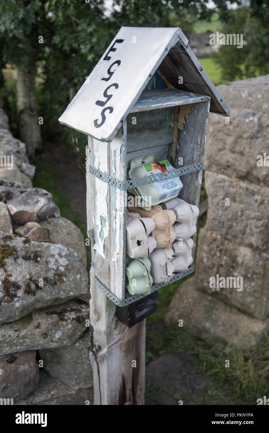 Small scale egg production Stock Photo - Alamy