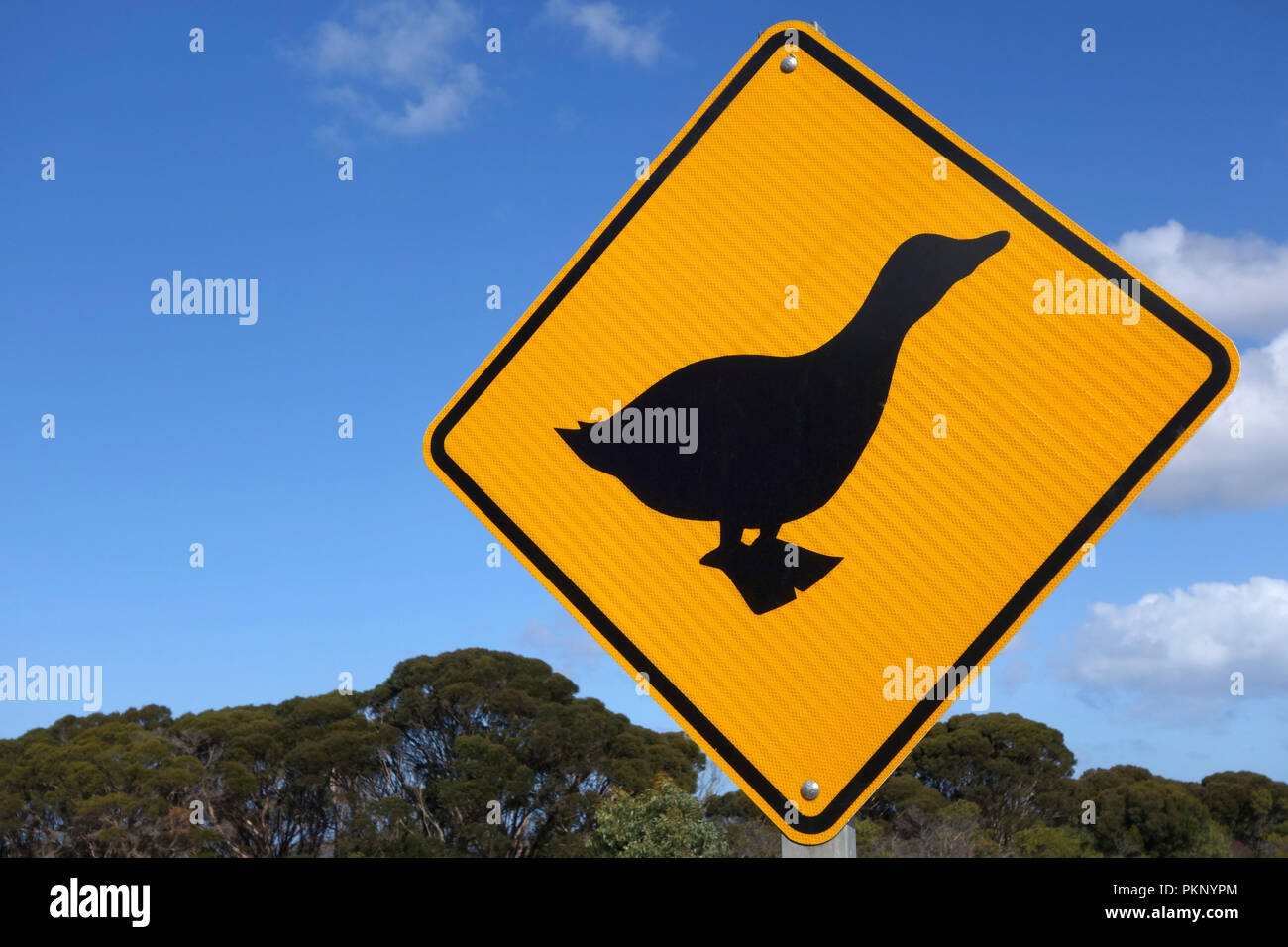 Geese warning sign hi-res stock photography and images - Alamy