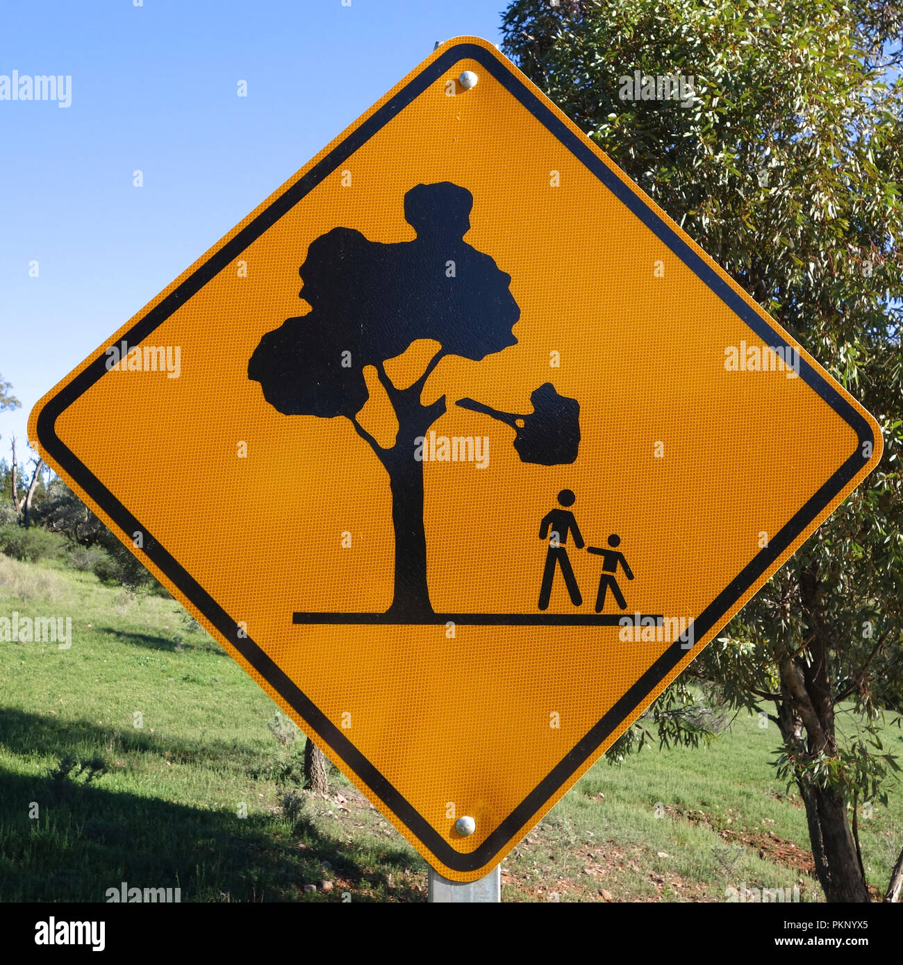 Warning sign on a country road in Australia Stock Photo - Alamy