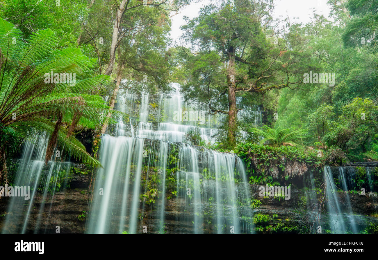 Russell Falls Tasmania Australia Stock Photo - Alamy