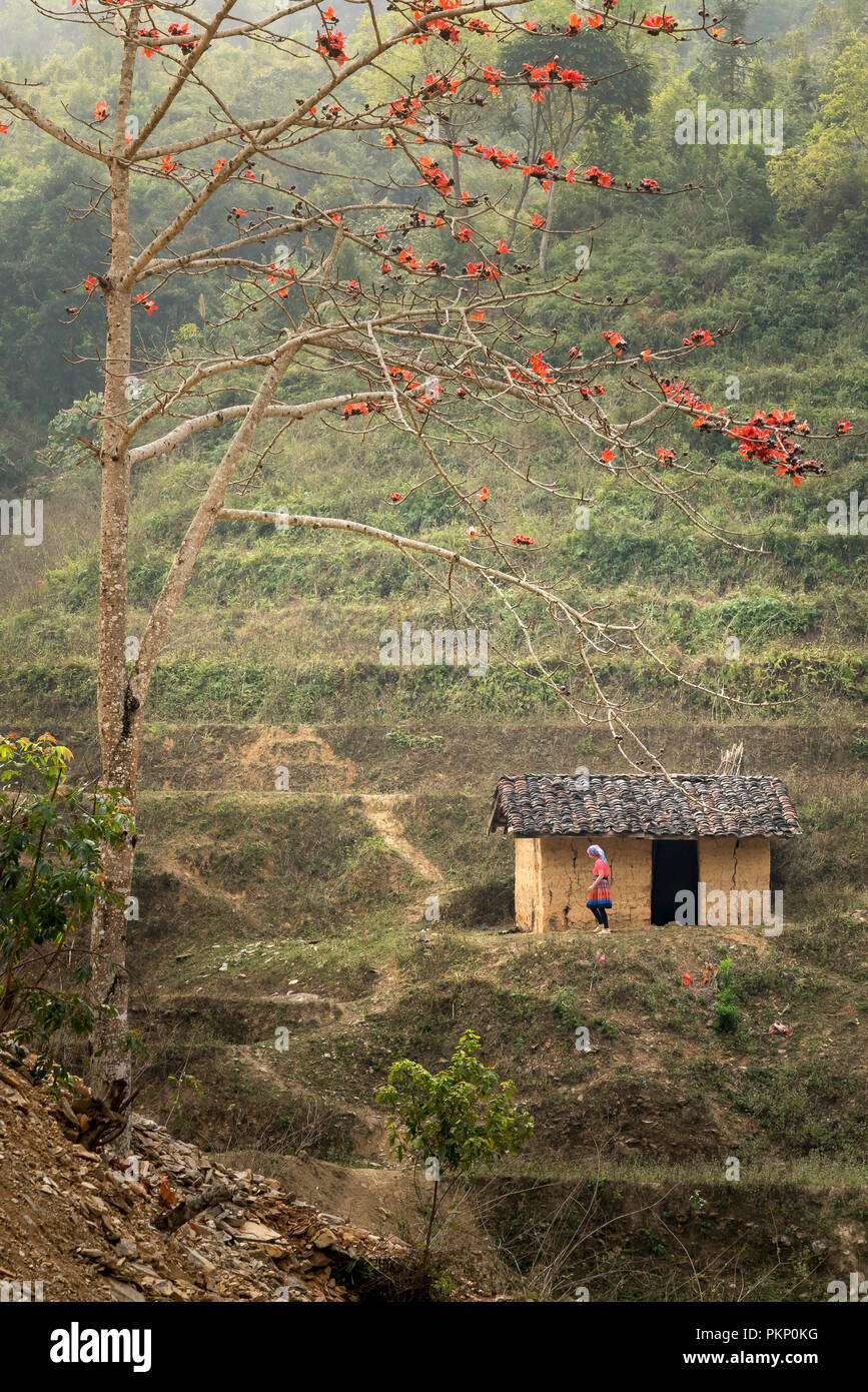 The scene of H'Mong woman on the side of the house with the wall made ...