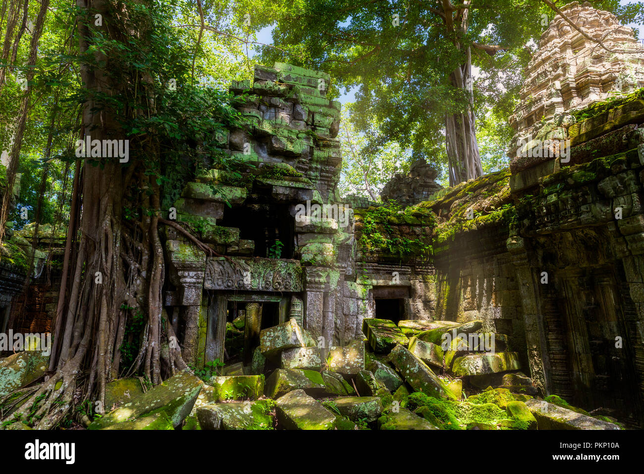 Ta Prohm Temple Ruins in Cambodia Stock Photo - Alamy