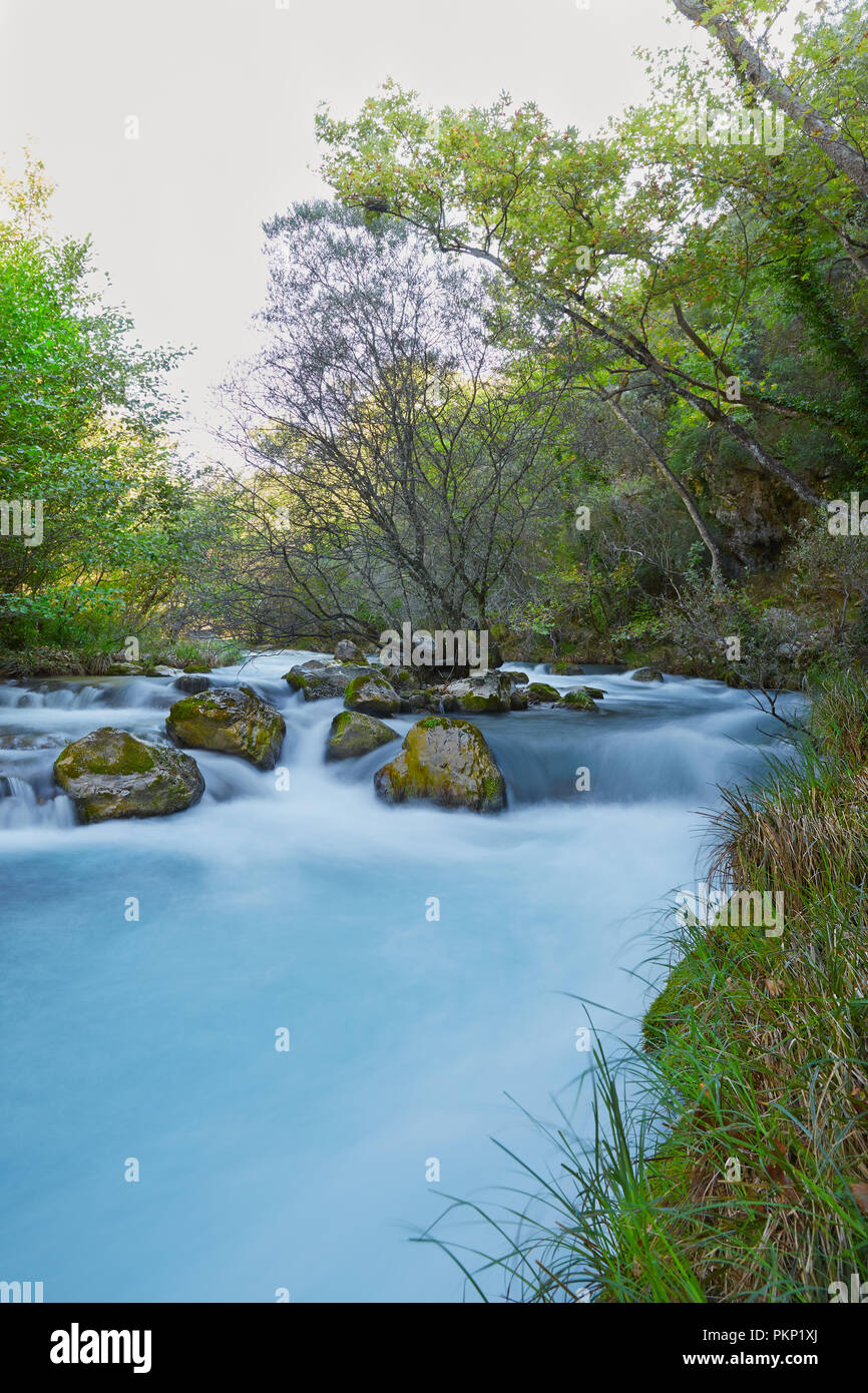 Tree inside blurred river hi-res stock photography and images - Alamy