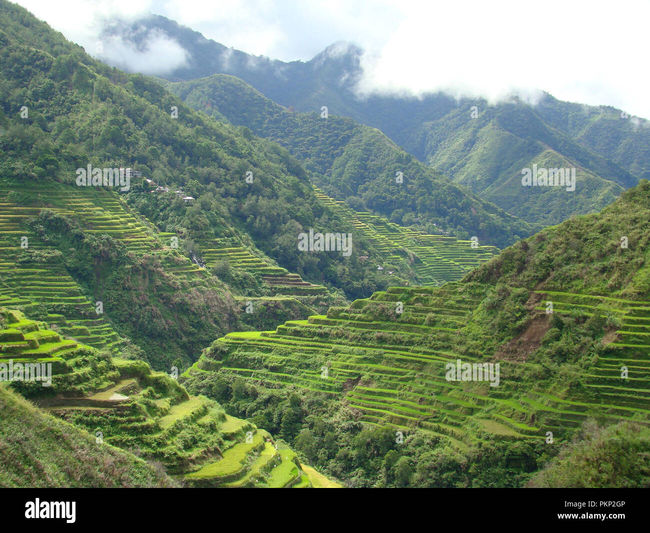 Sustainable Development Goals: forested slopes and terraced paddy ...