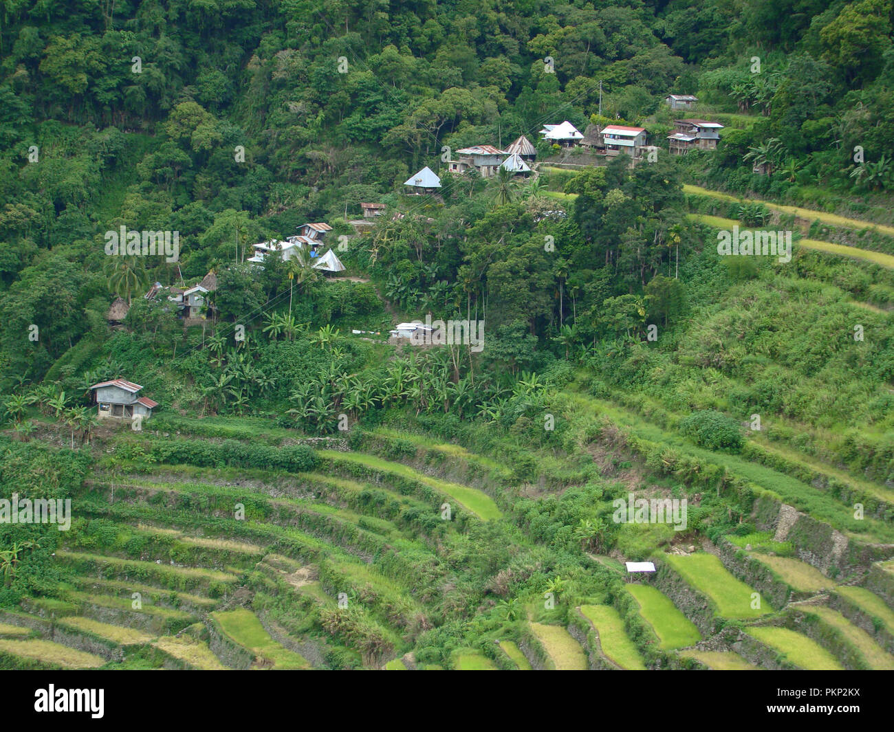 Sustainable Development Goals: forested slopes and terraced paddy ...