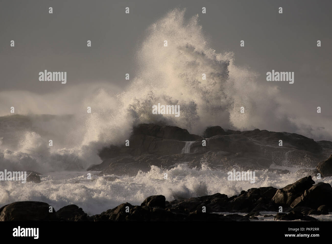 Big stormy breaking waves. Late evening light Stock Photo - Alamy