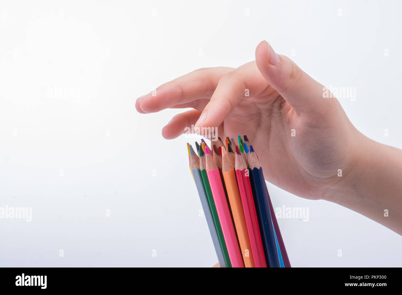 Hand holding color Pencils placed on a white background Stock Photo - Alamy