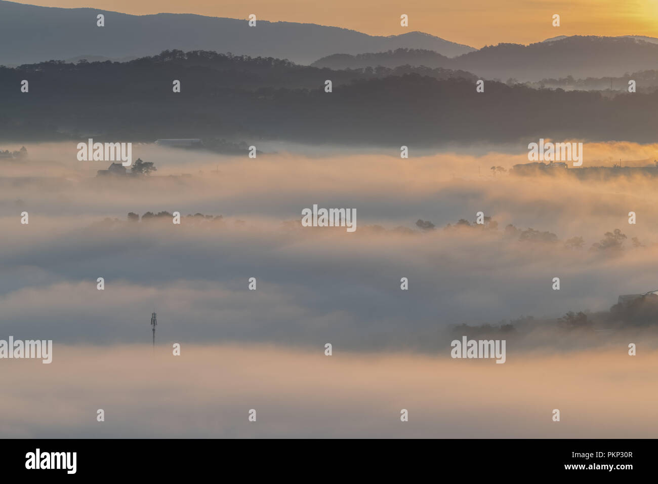 Background with pine forest, dense fog, sunrays and farms scene on the ...
