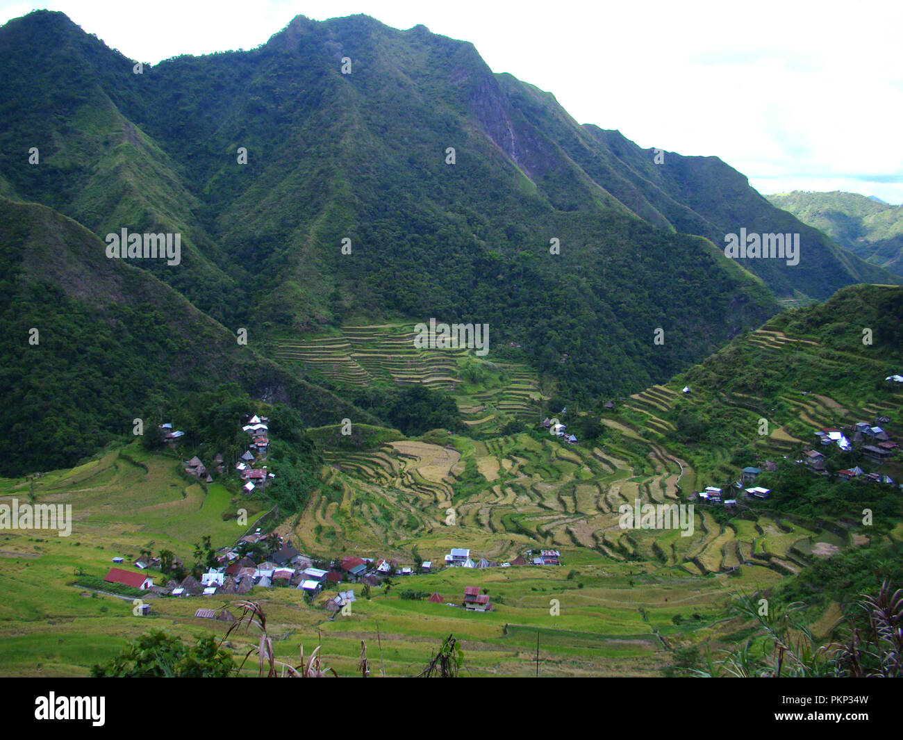 Sustainable Development Goals: forested slopes and terraced paddy ...