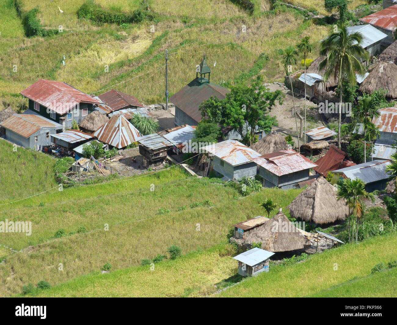 Sustainable Development Goals: forested slopes and terraced paddy ...
