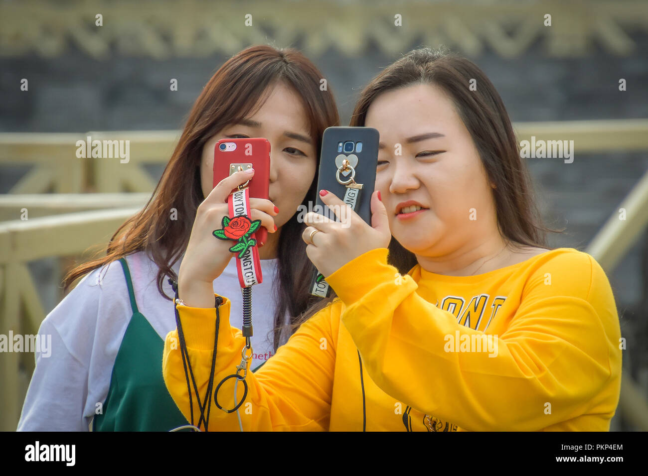 Rome is the capital city of Italy. The Vatican City is an independent ...