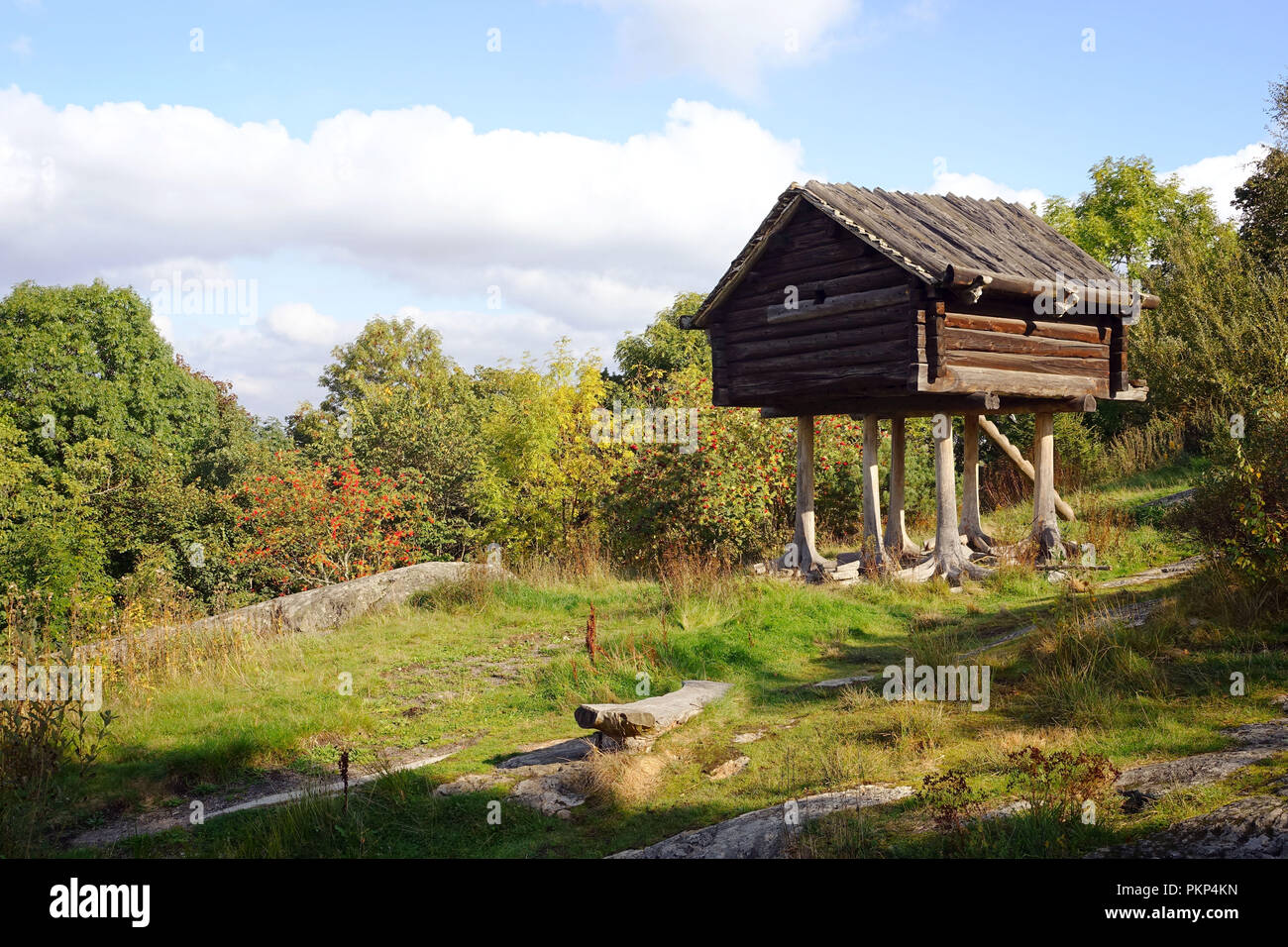 Very ancient wooden barn "on the legs" in Skansen museum. Sweden Stock ...