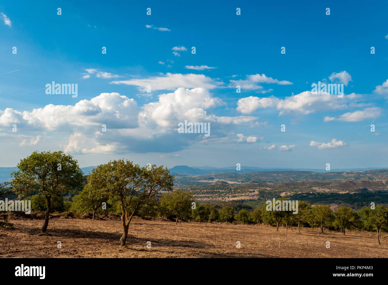 countryside landscape with small gentle clouds in a sunny day of spring ...