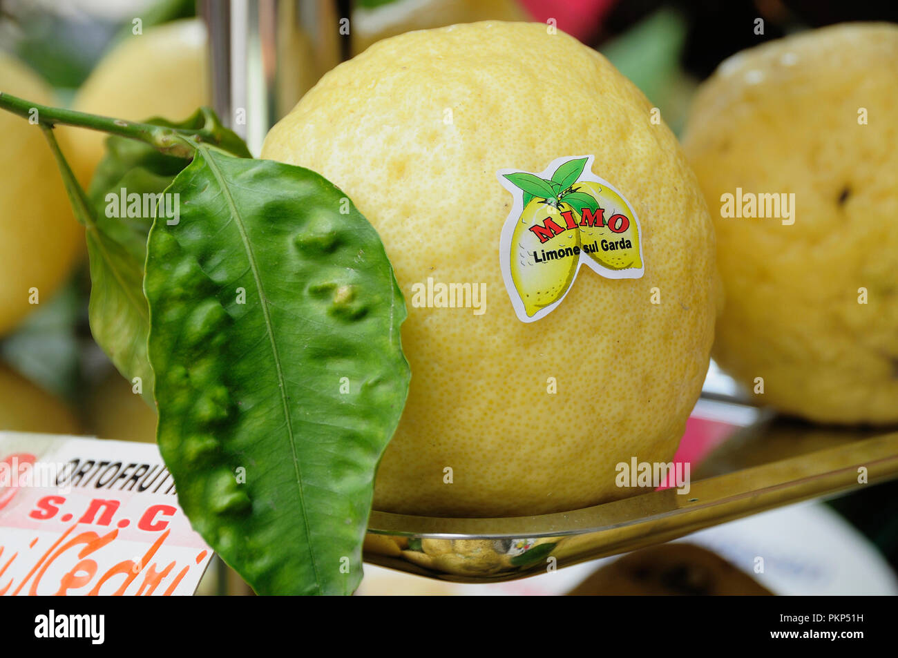 Italy, Lombardy, Lake Garda, Limone Rivera, lemons from Limone Stock ...