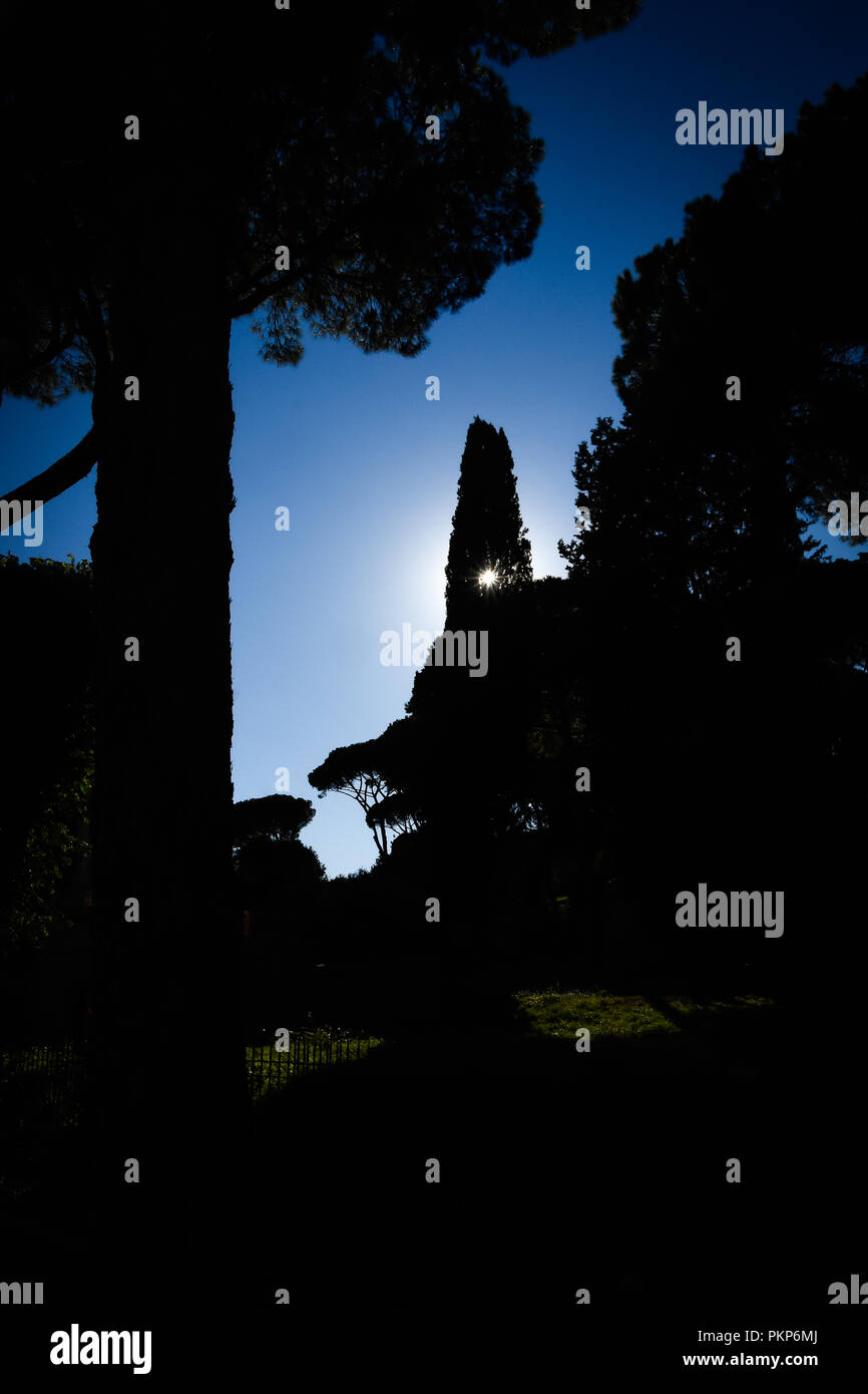 Rome is the capital city of Italy. The Vatican City is an independent ...