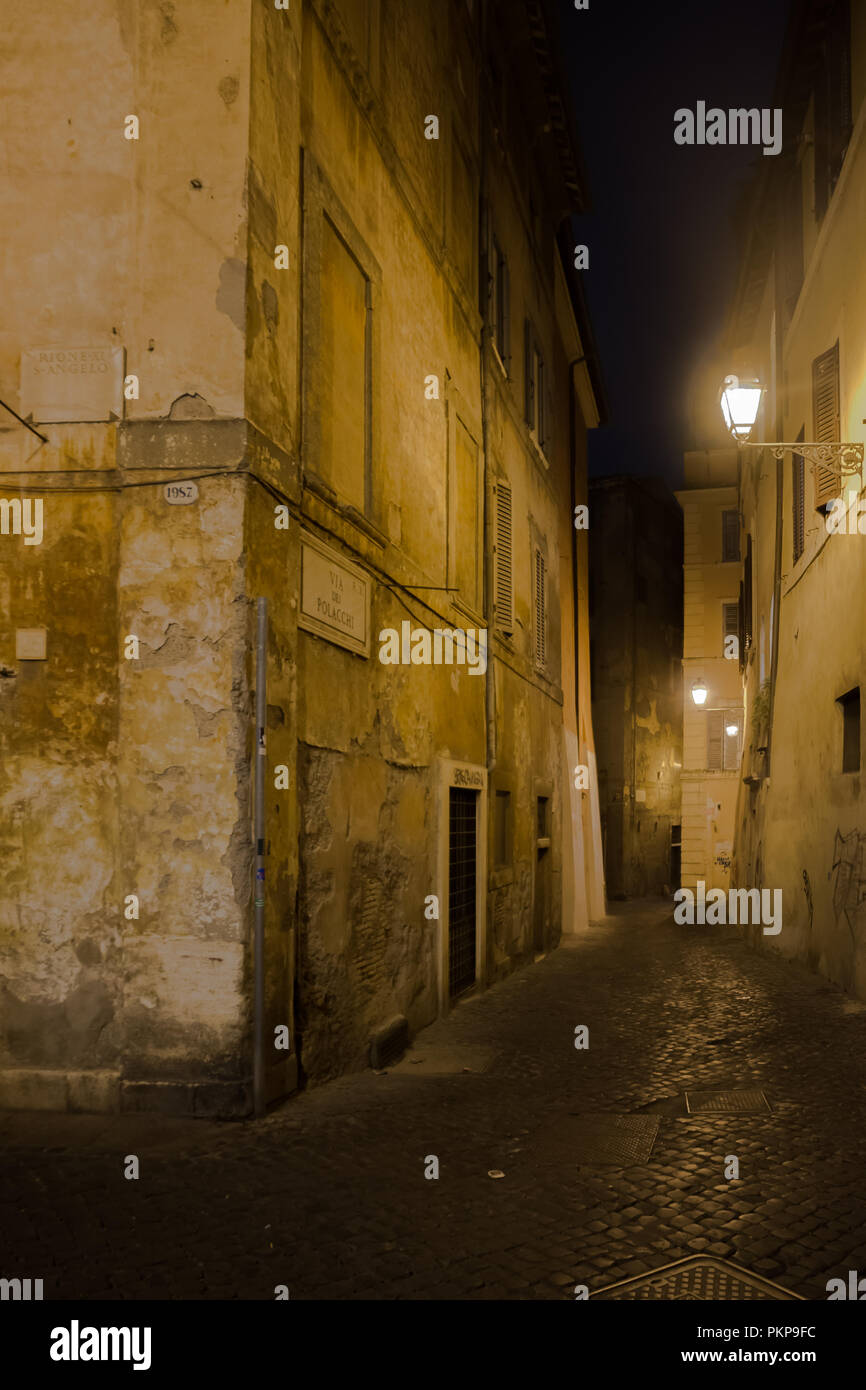 Rome is the capital city of Italy. The Vatican City is an independent ...