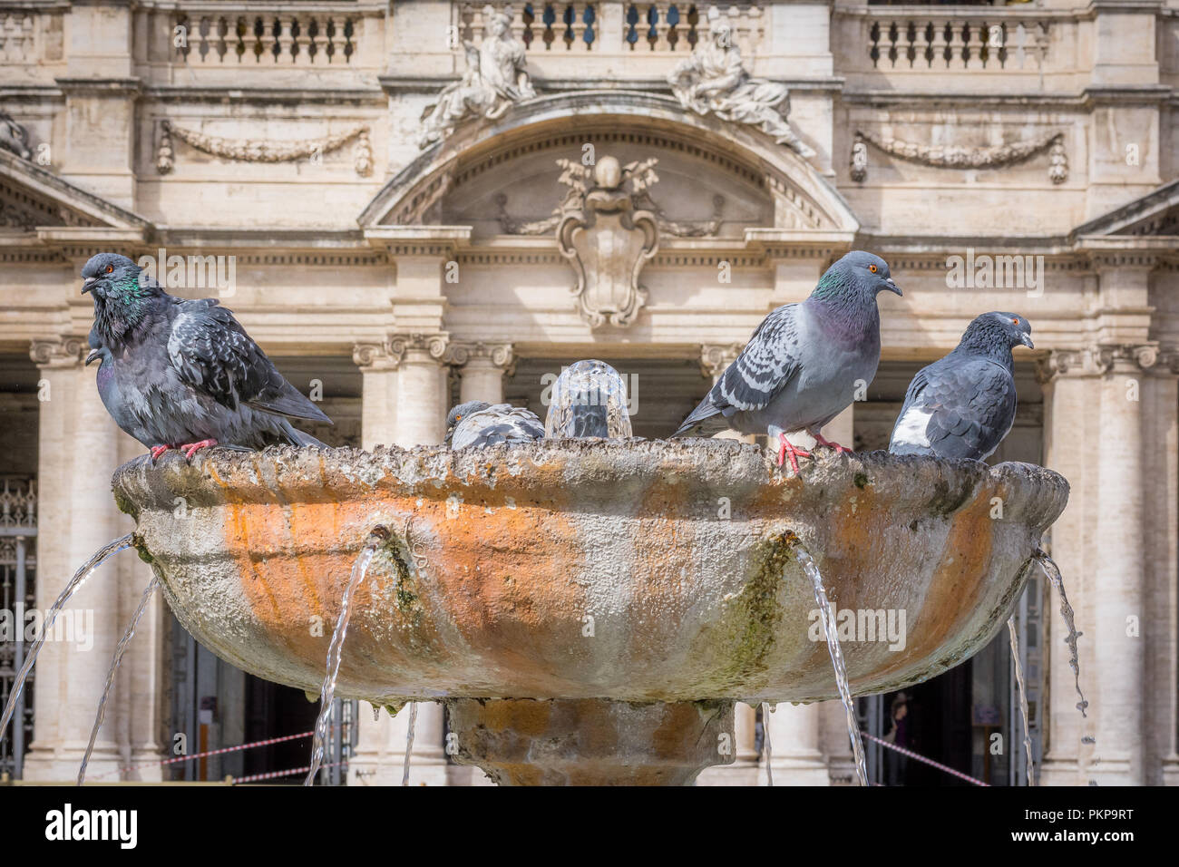 Rome is the capital city of Italy. The Vatican City is an independent ...